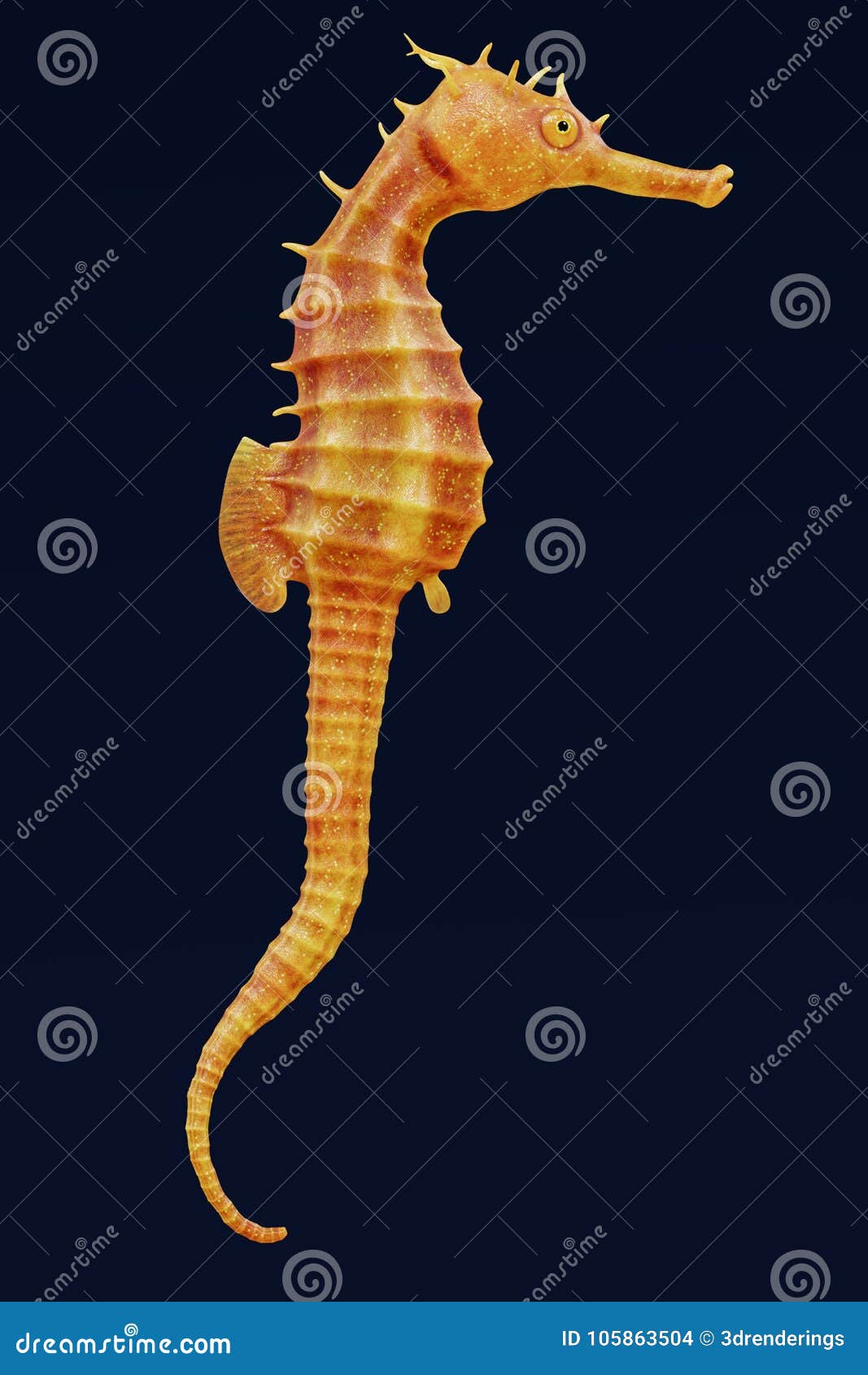 The Long Snouted Lancetfish Or Cannibal Fish Alepisaurus Ferox Royalty ...