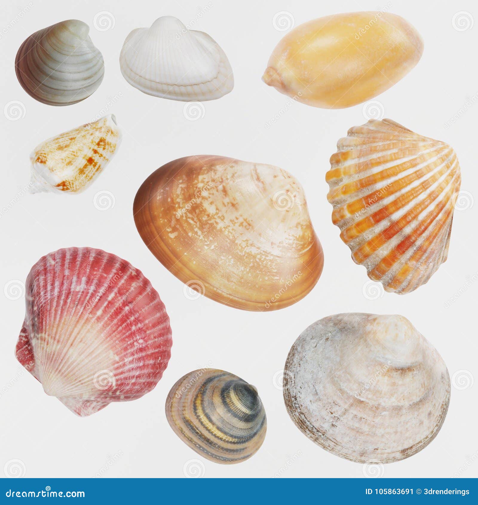 3D Render of Seashells stock illustration. Illustration of limpet ...
