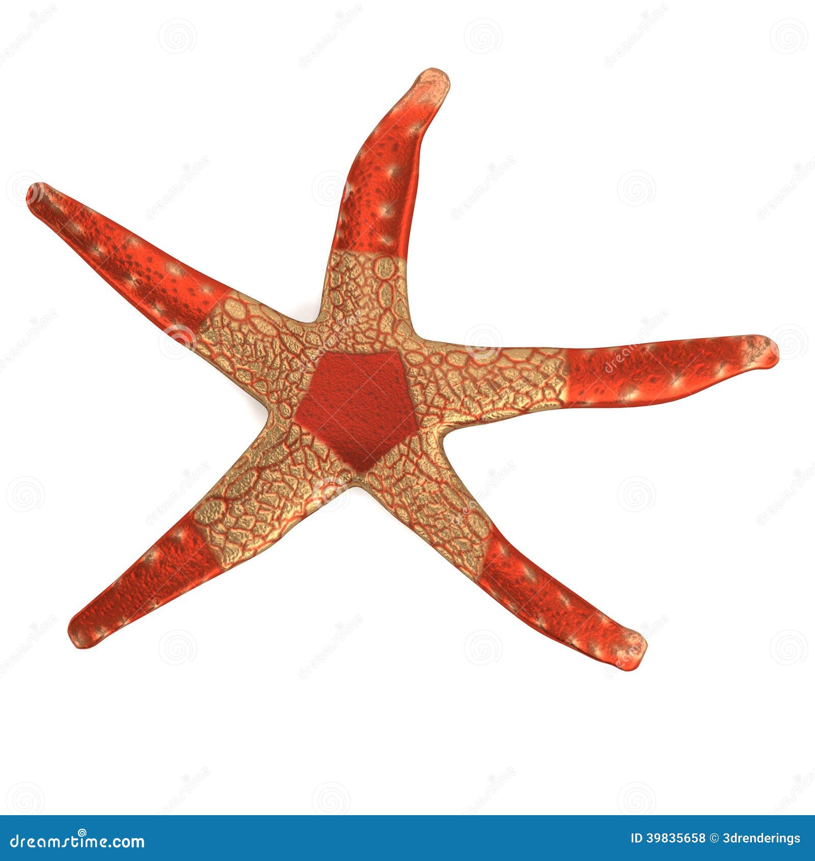3d Render Of Seastar Stock Photography | CartoonDealer.com #38275958