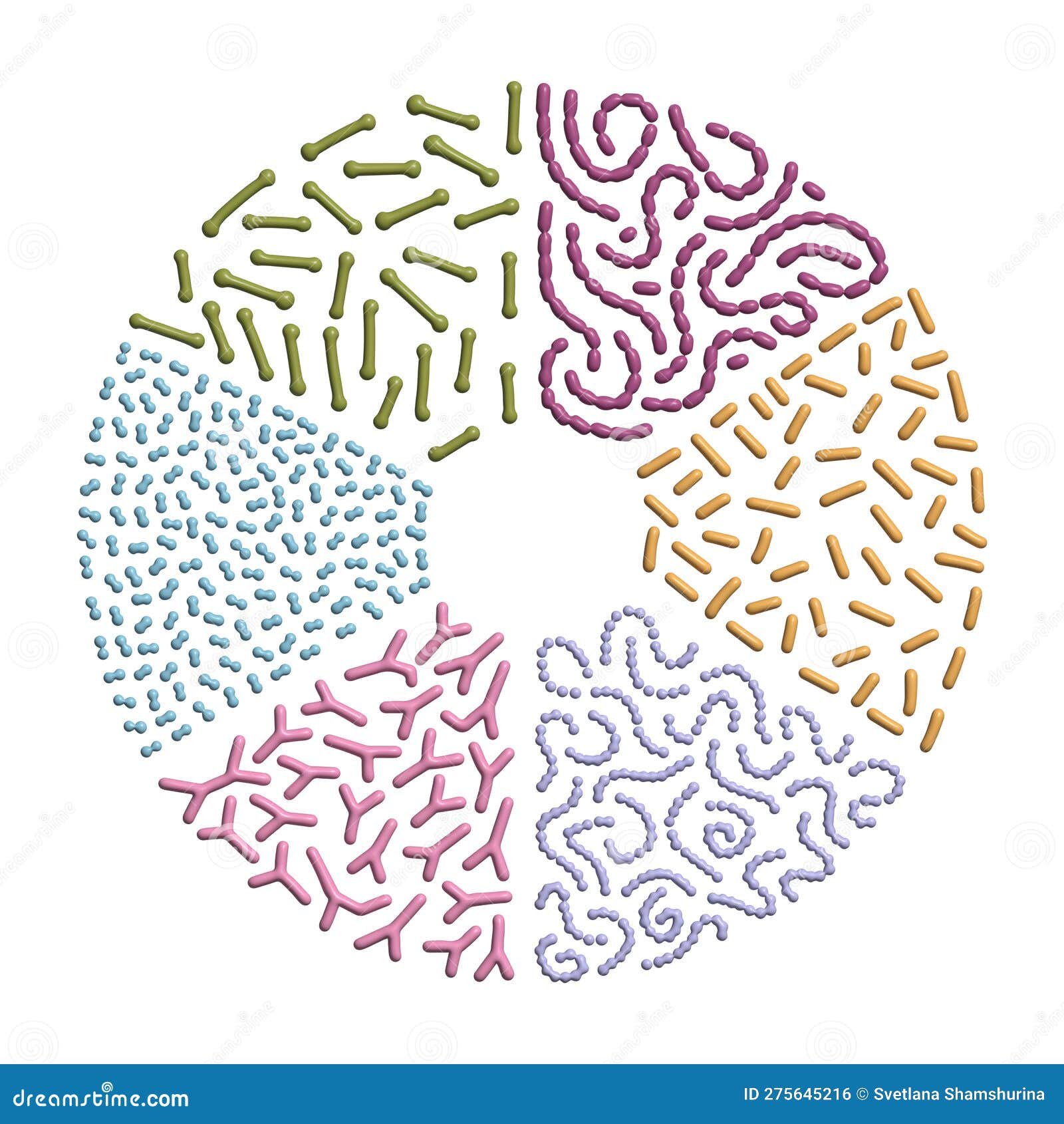 Types Of Bifidobacteria. Bifidumbacterium. Types Of Lactobacilli ... Types Of Bifidobacteria. Bifidumbacterium. Types Of Lactobacilli ...