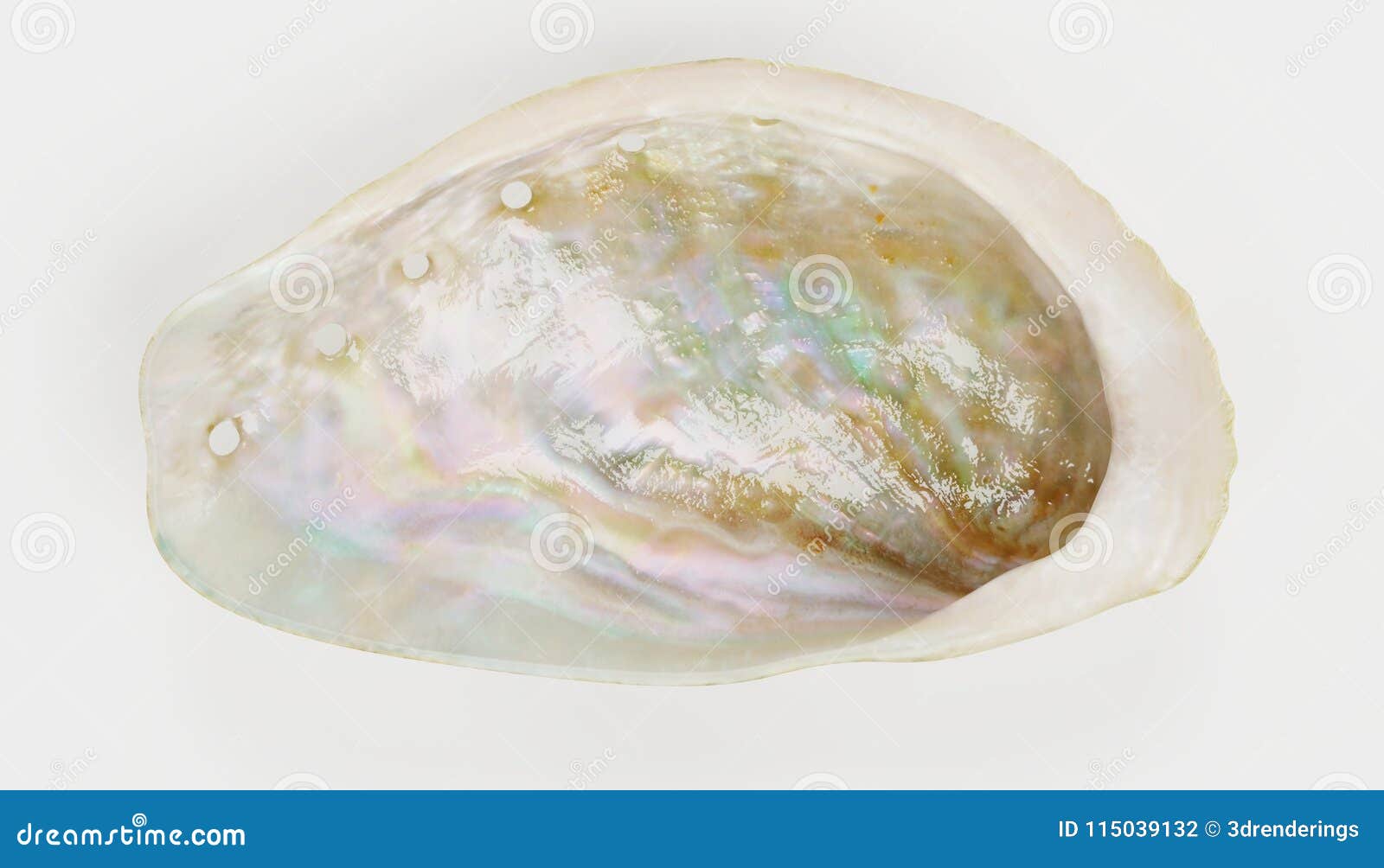 3D Render of Shell stock illustration. Illustration of scallop - 115039132