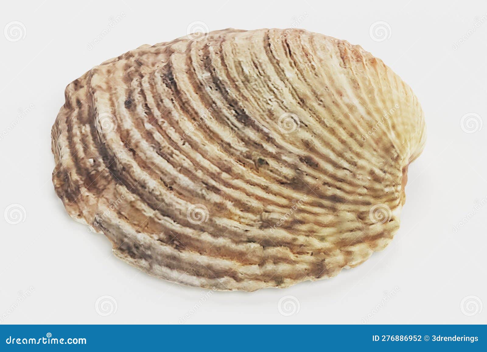 3D Render of Shell stock illustration. Illustration of realistic ...