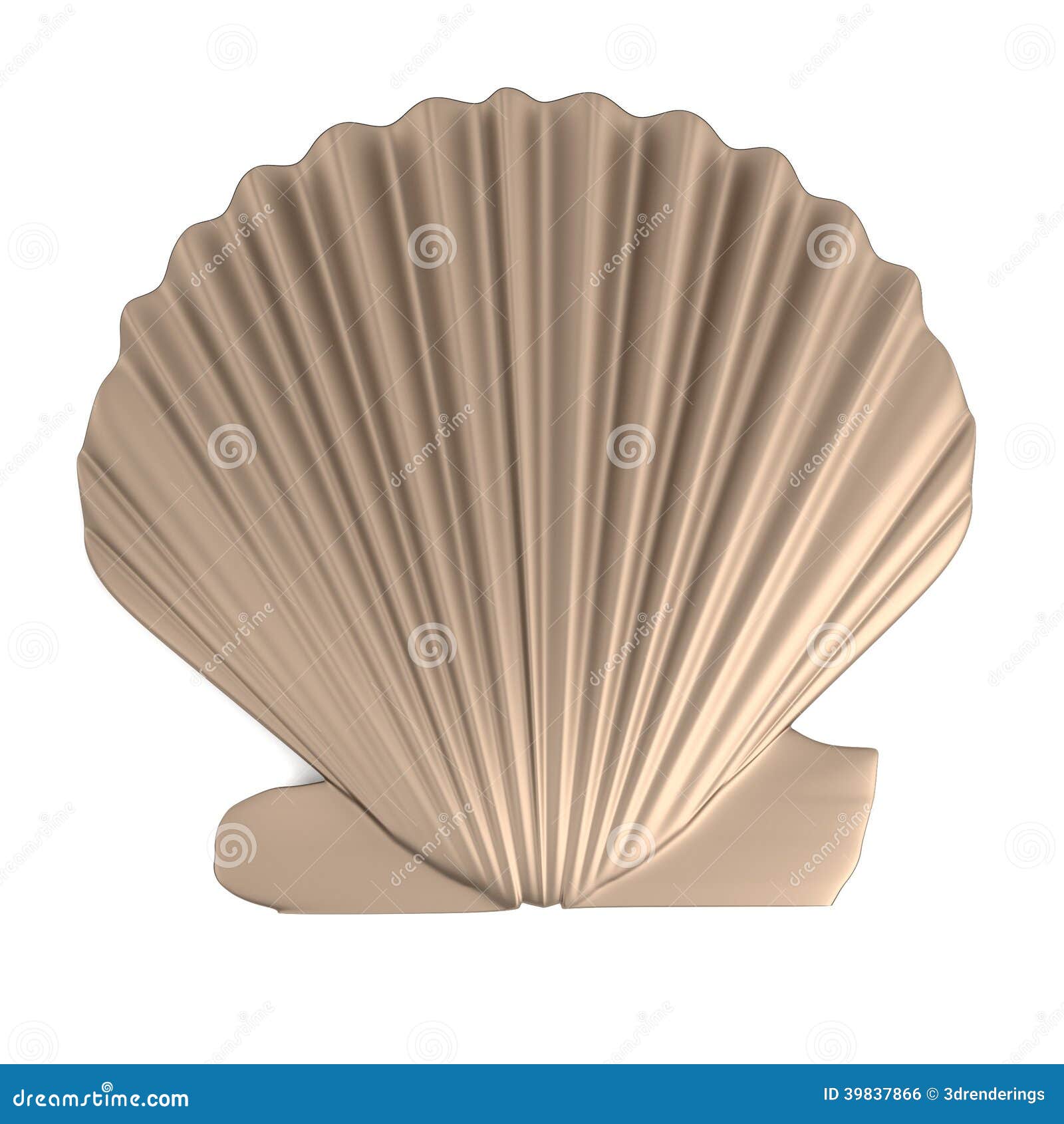 3d render of shell stock illustration. Illustration of ocean - 39837866
