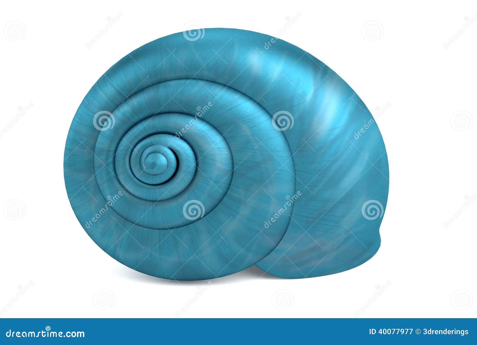 3d render of shell stock illustration. Illustration of cartoon - 40077977