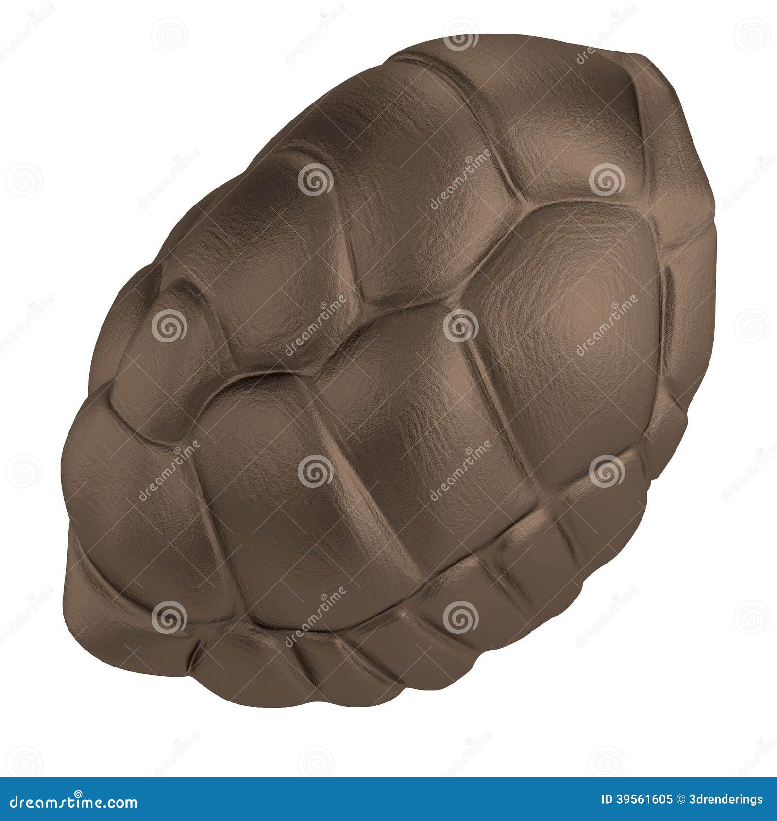 3d Render of Shell of Turtle Stock Illustration - Illustration of shell ...