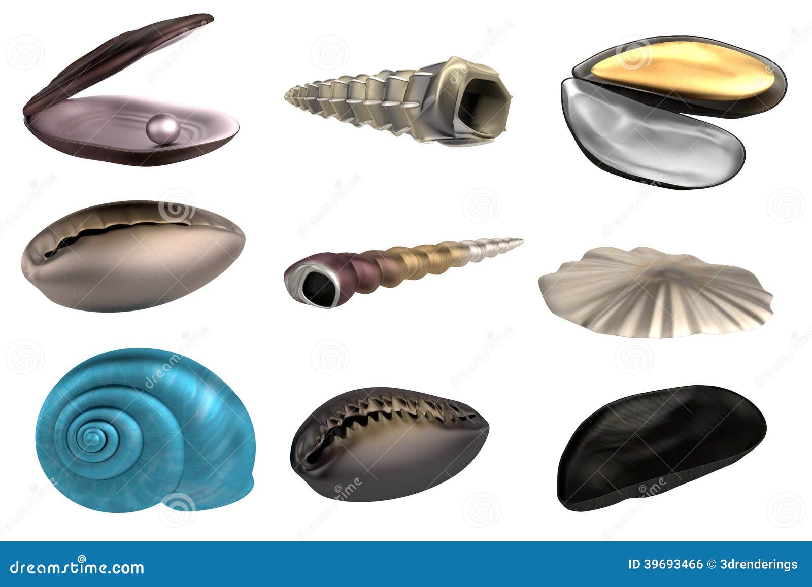 3d render of shells stock illustration. Illustration of water - 39693466