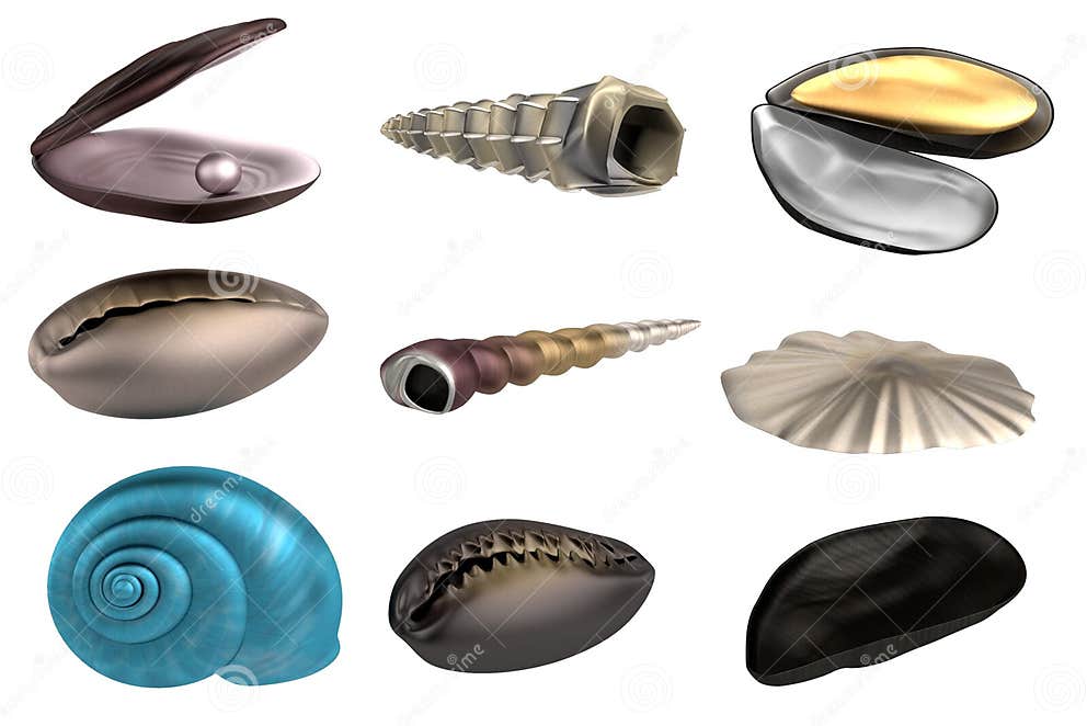 3d render of shells stock illustration. Illustration of water - 39693466