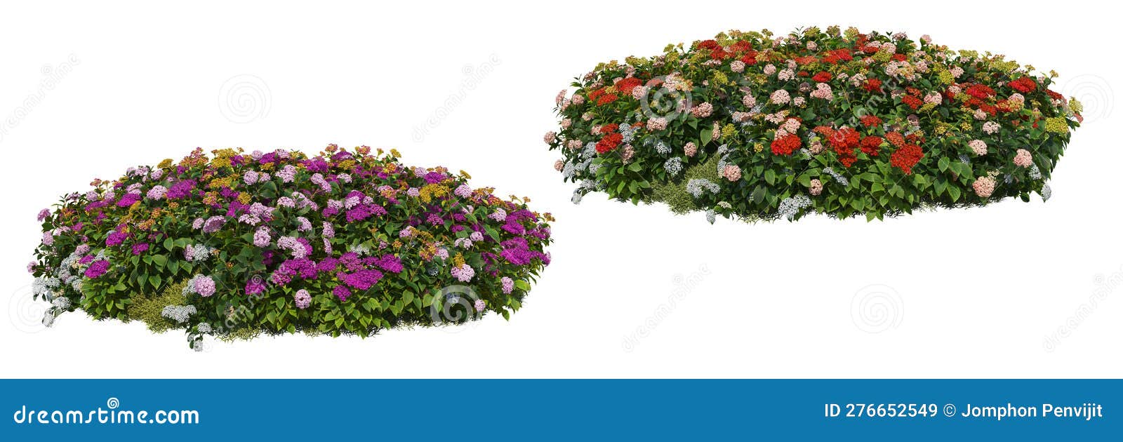 3d Render Shrubs and Flower on a White Background Stock Illustration ...