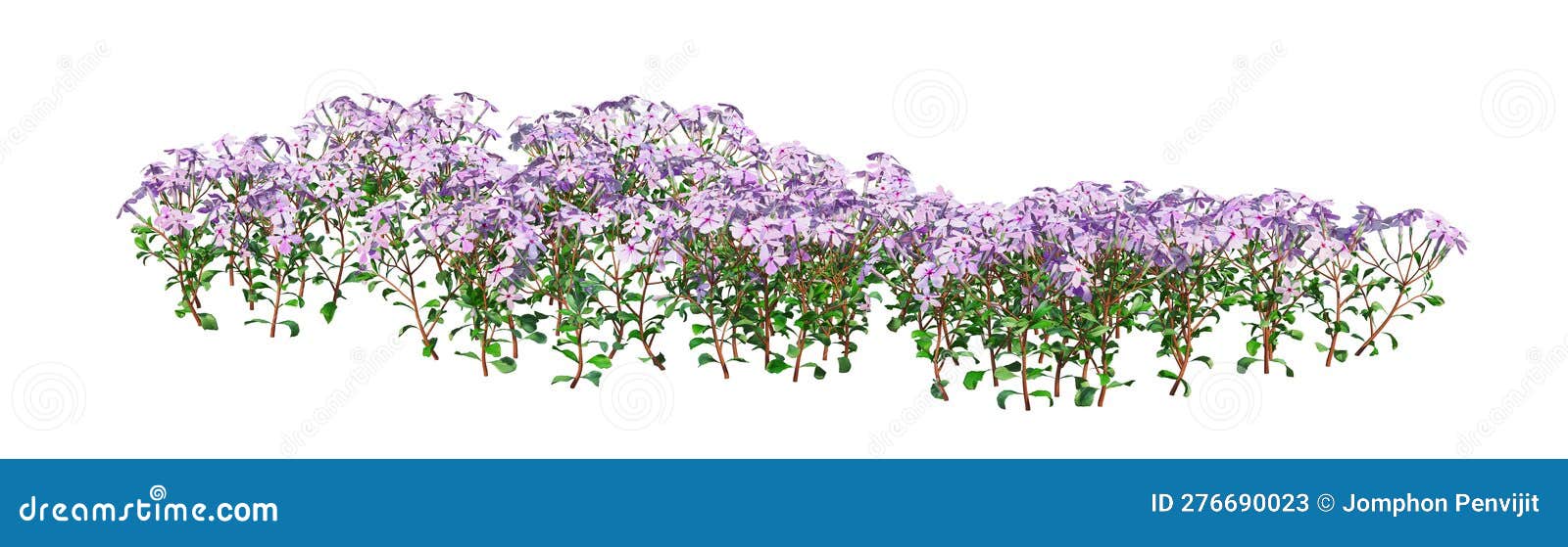 Shrubs and Flower on a White Background Stock Illustration ...