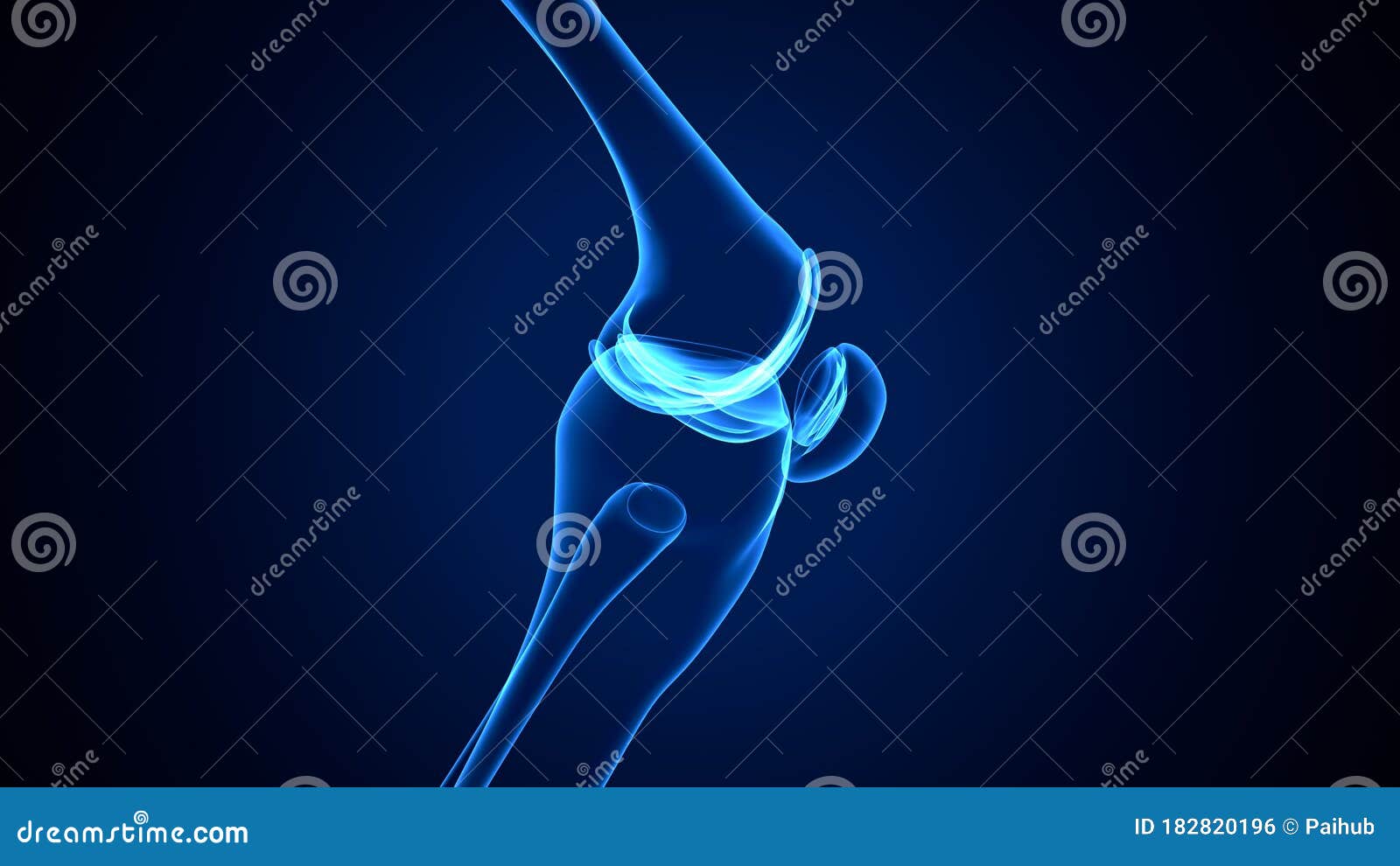 3d Render of Skeleton Poster Design Anatomy Frame Stock Illustration ...