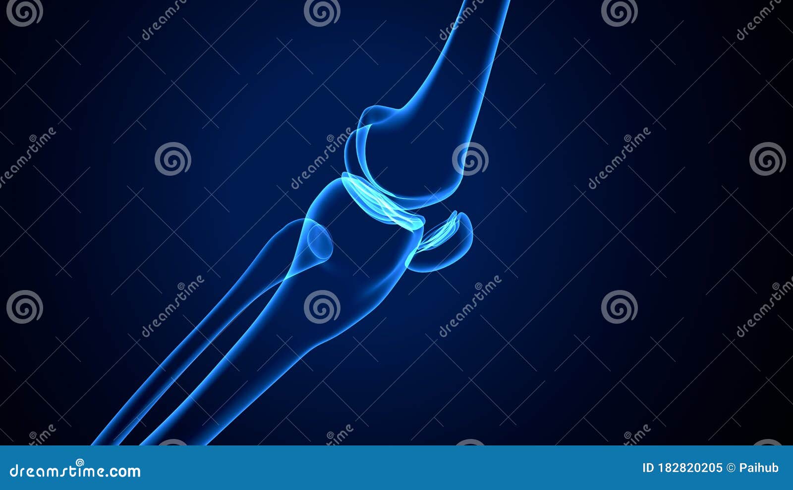 3d Render of Skeleton Poster Design Anatomy Frame Stock Illustration ...