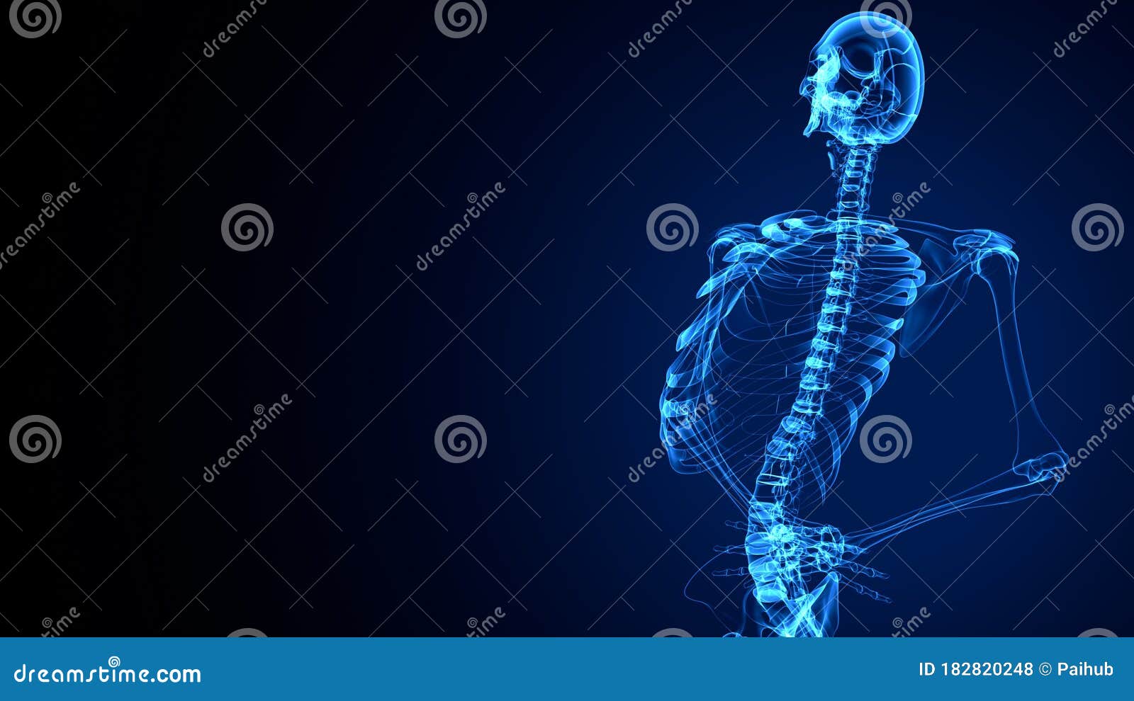 3d Render of Skeleton Poster Design Anatomy Frame Stock Illustration ...