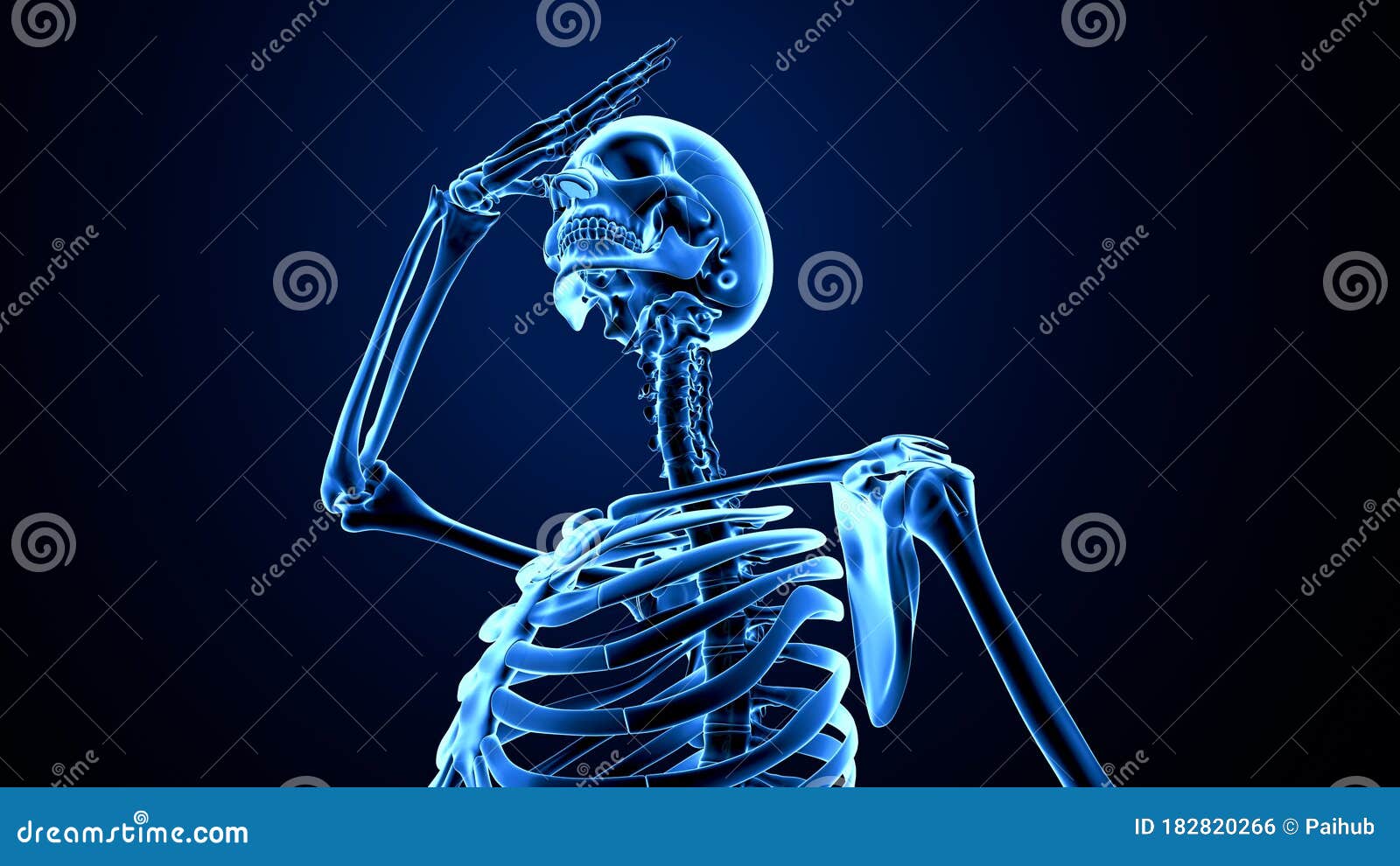 3d Render of Skeleton Poster Design Anatomy Frame Stock Illustration ...