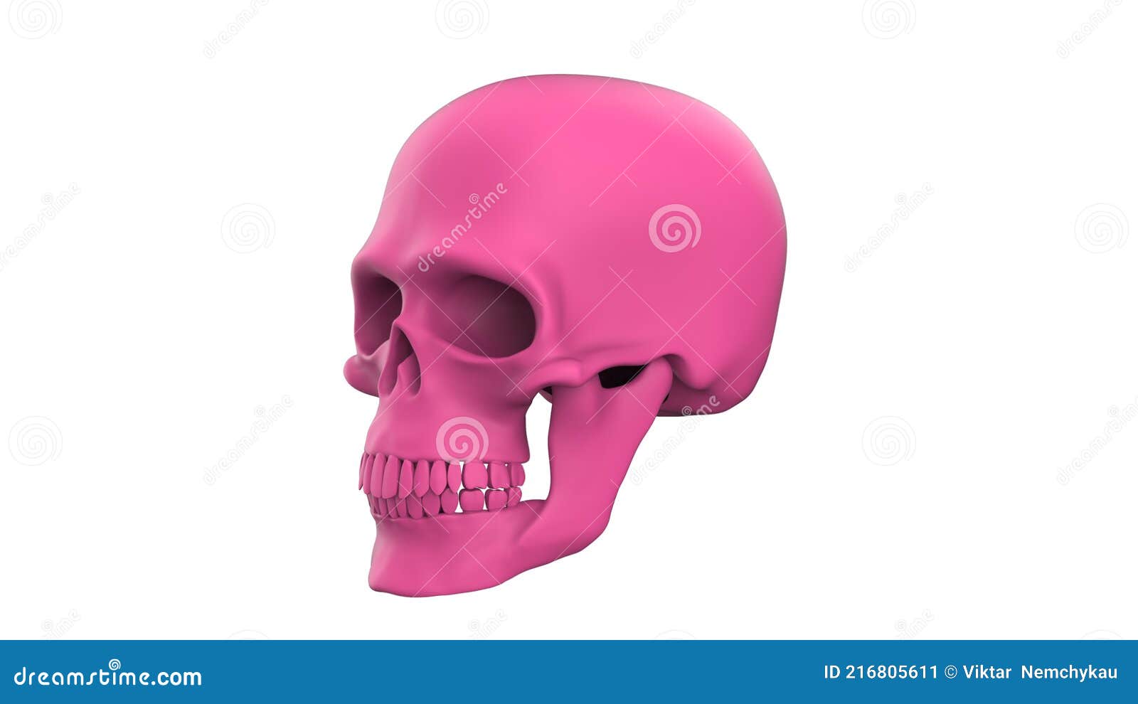 3d Render Skull of the Human Isolated Stock Illustration - Illustration ...