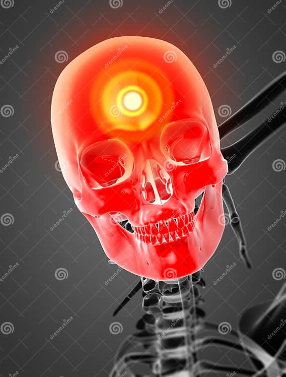 3D Rendering Illustration of Skull Bone Stock Illustration ...