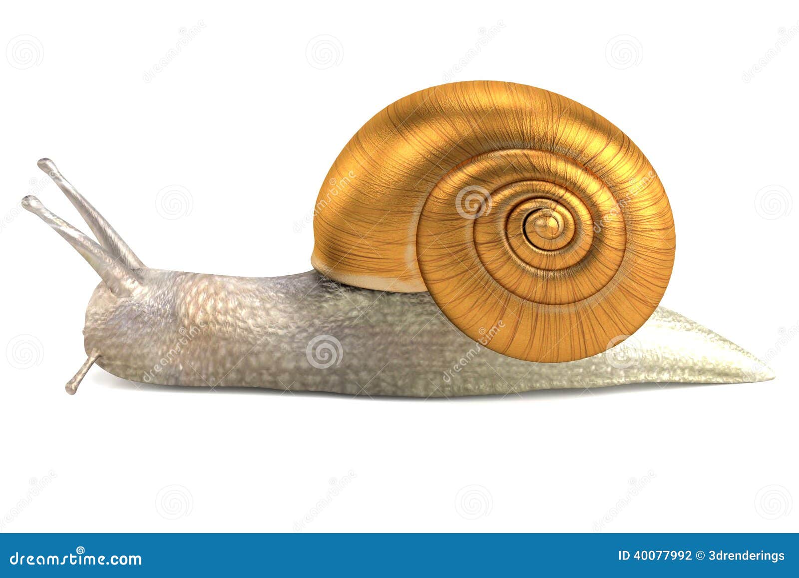 3d render of snail stock illustration. Illustration of render - 40077992