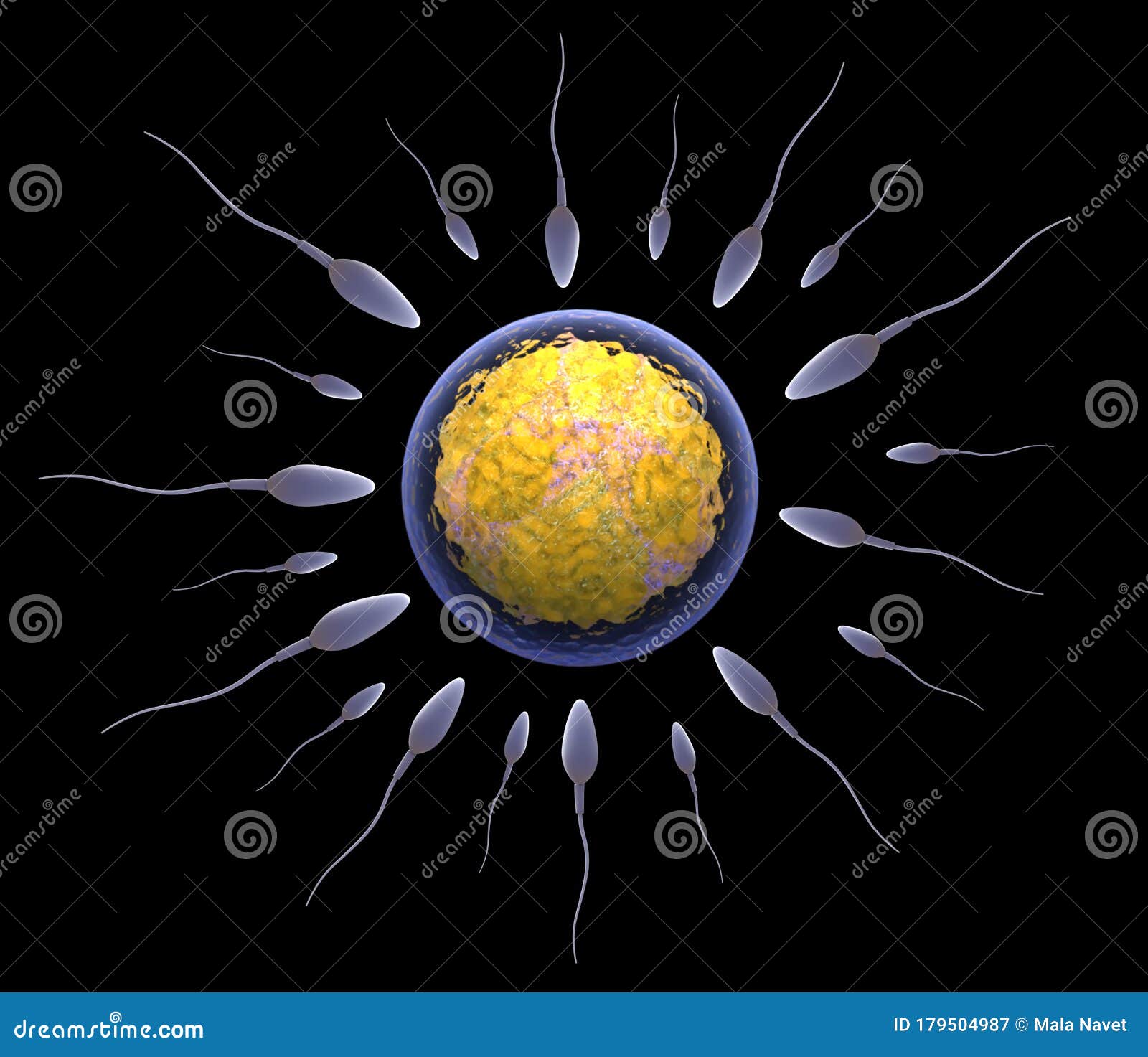 3D Render of Sperm and Egg. Stock Illustration - Illustration of cell ...