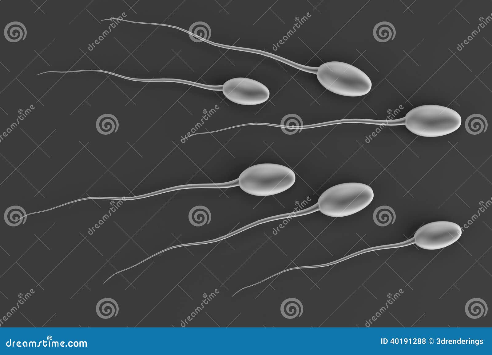 3d render of sperms stock illustration. Illustration of realistic ...