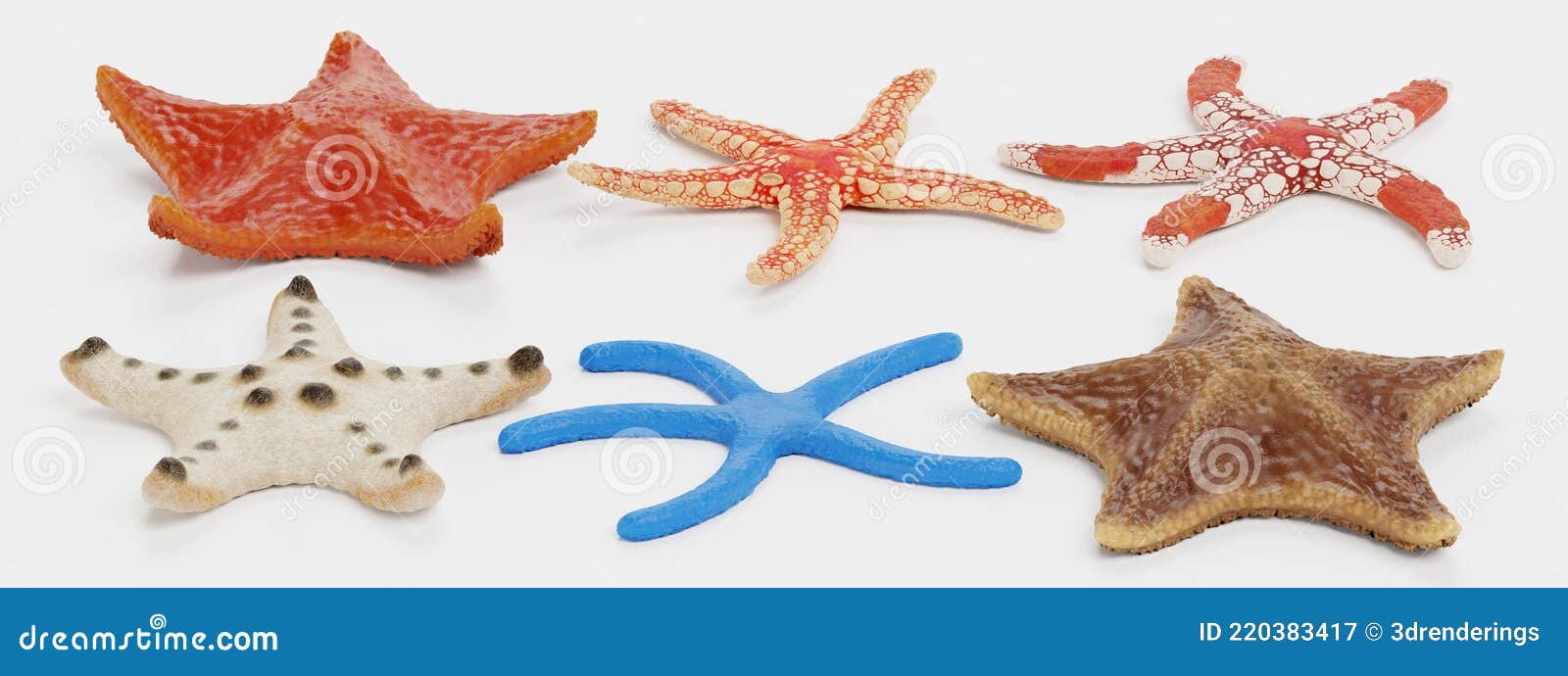 3D Render of Starfish Collection Stock Illustration - Illustration of ...