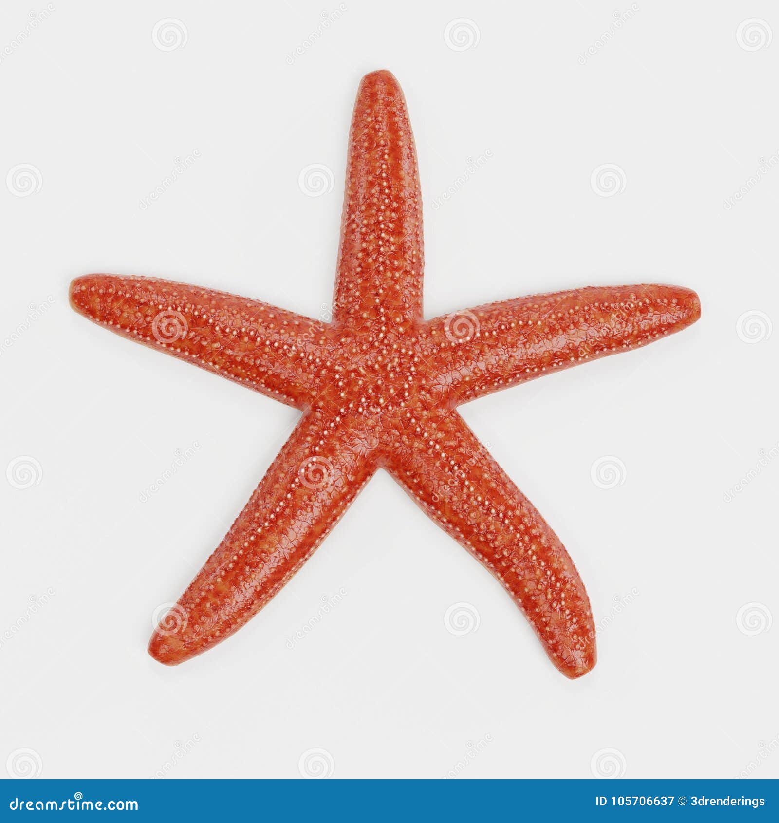 3D Render Of Bat Starfish Stock Photography | CartoonDealer.com #219754376