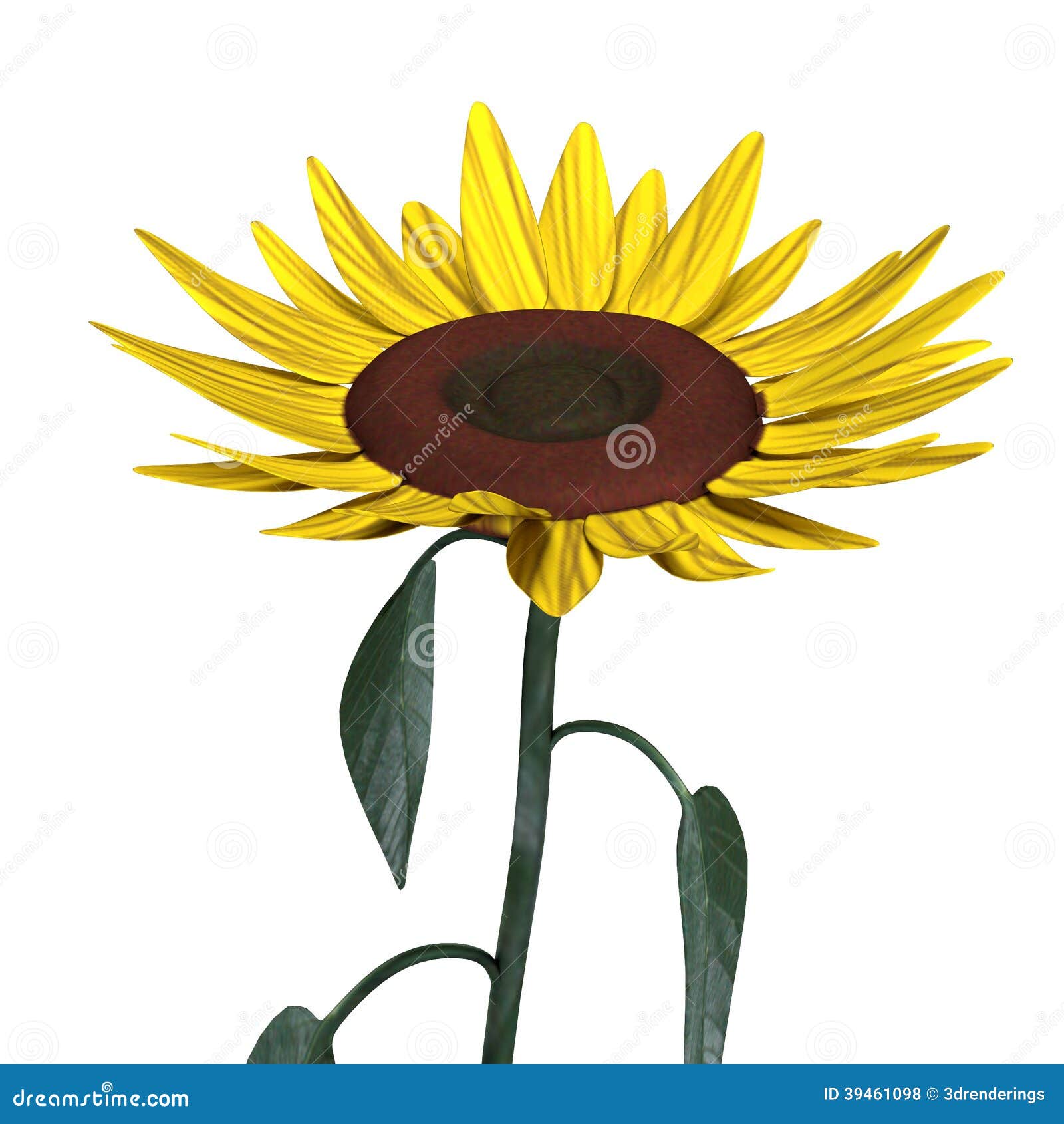 3d render of sunflower stock illustration. Illustration of realistic ...