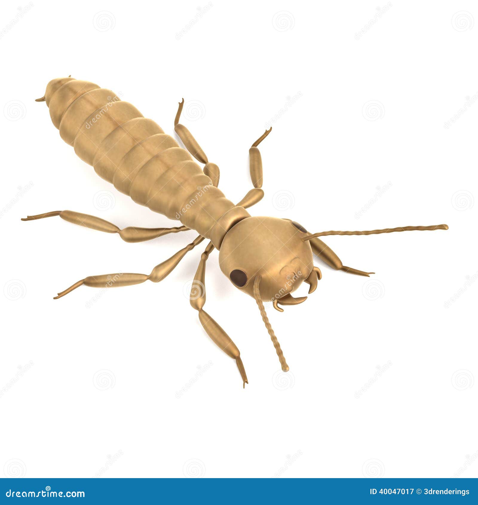 3d render of termite alate stock illustration. Illustration of render ...