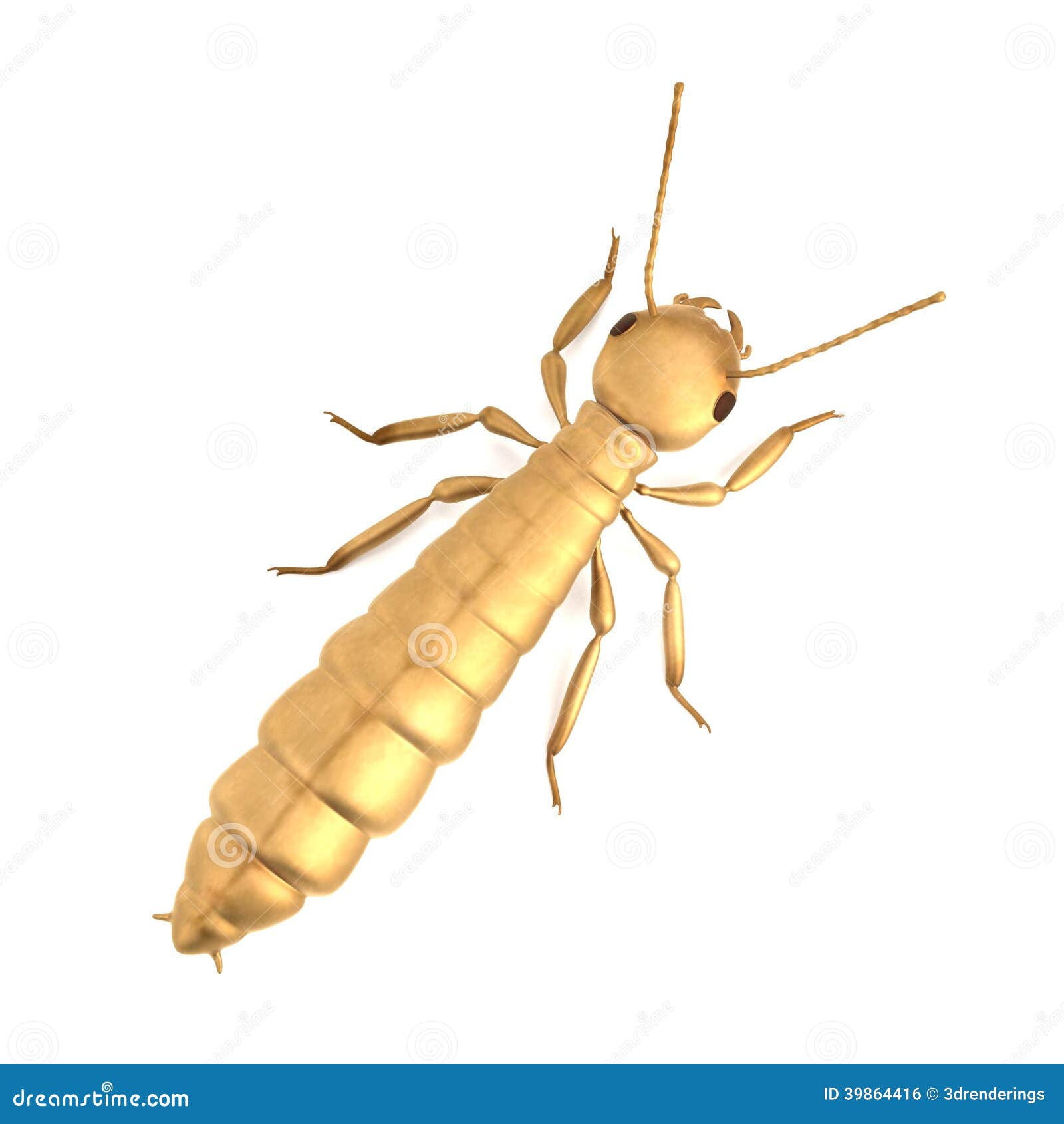 3d Render of Termite De-alate Stock Illustration - Illustration of ...
