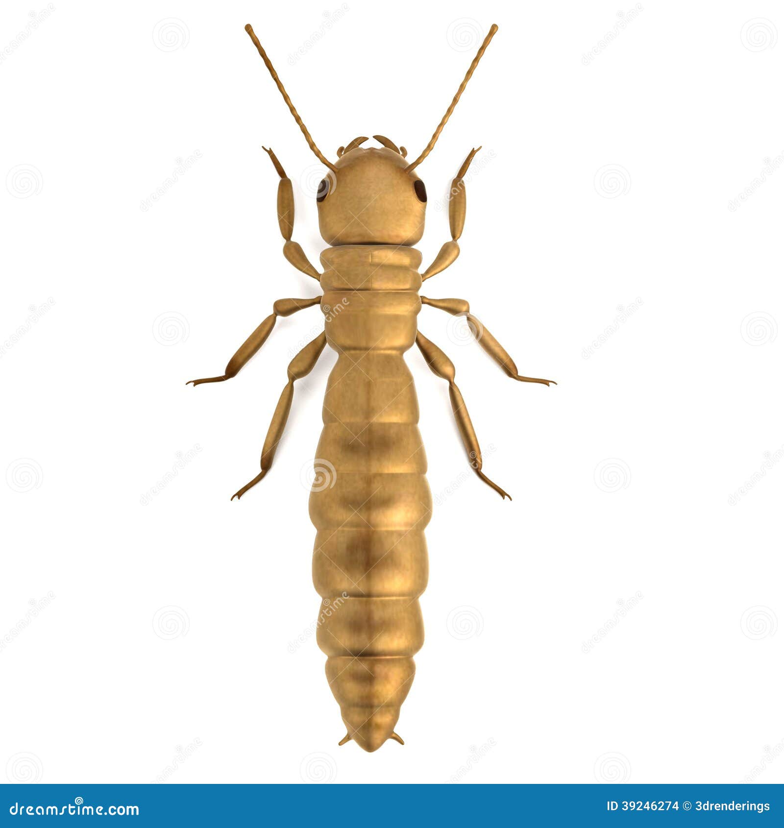 3d Render Of Termite Nymph Royalty-Free Stock Photo | CartoonDealer.com ...