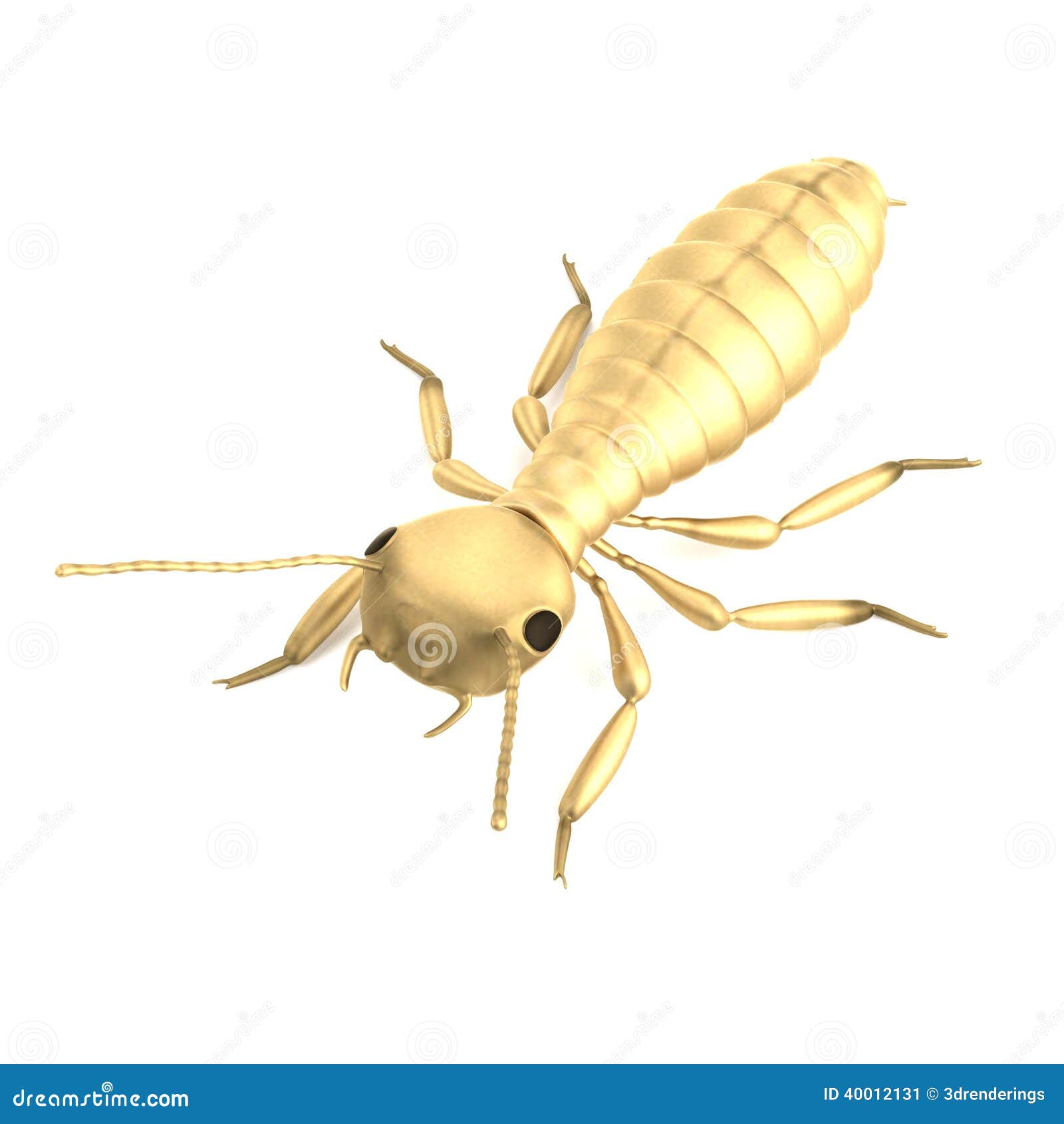 3d render of termite nymph stock illustration. Illustration of alate ...