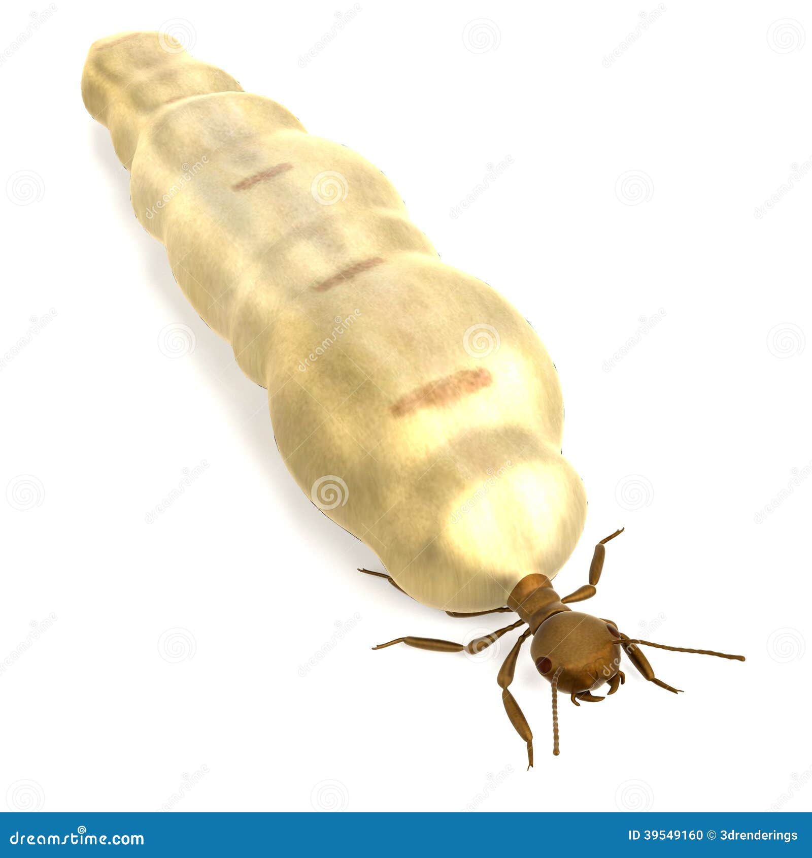 3d render of termite queen stock illustration. Illustration of nymph ...