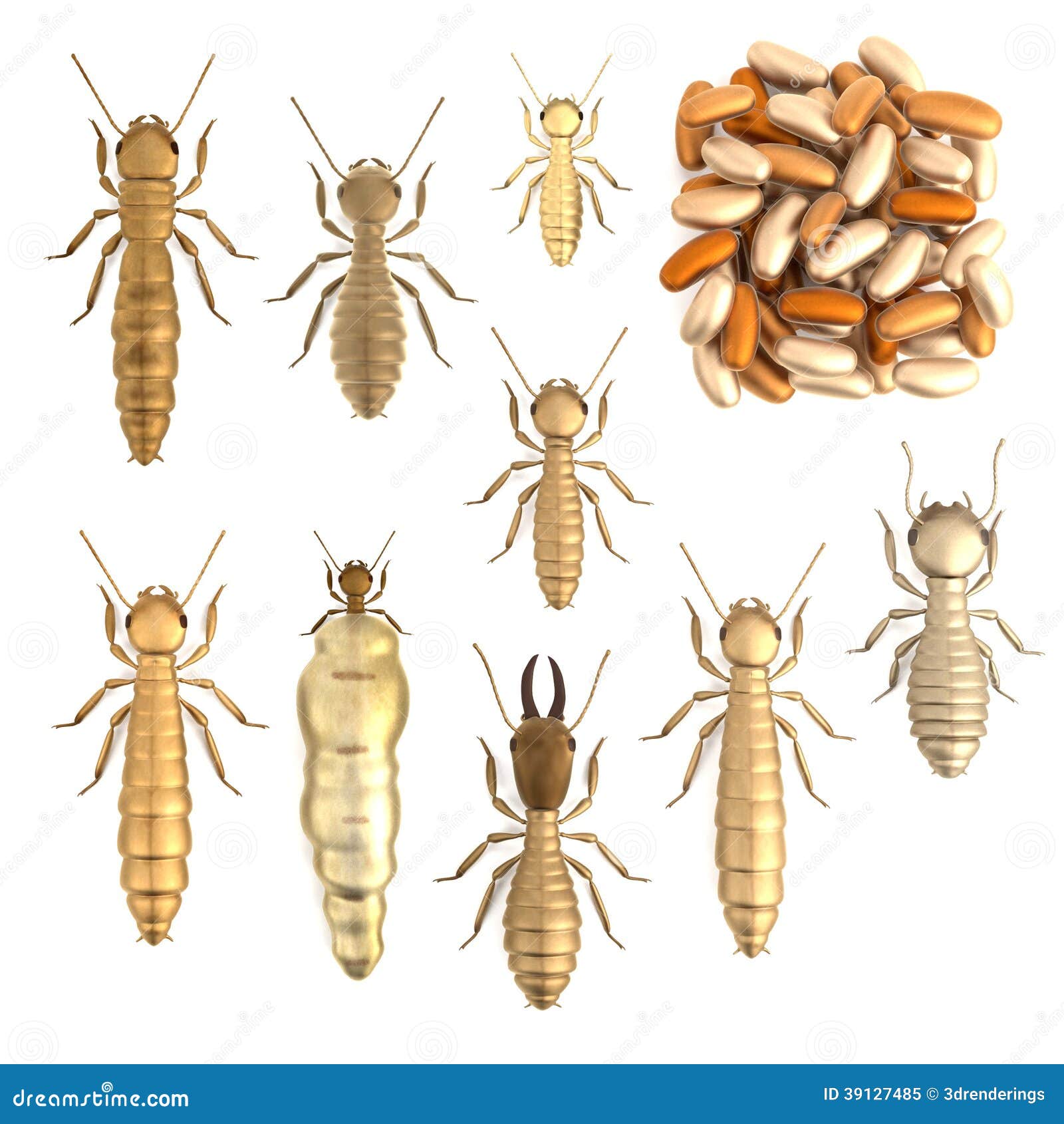 Termite 3d Stock Illustrations – 181 Termite 3d Stock Illustrations ...