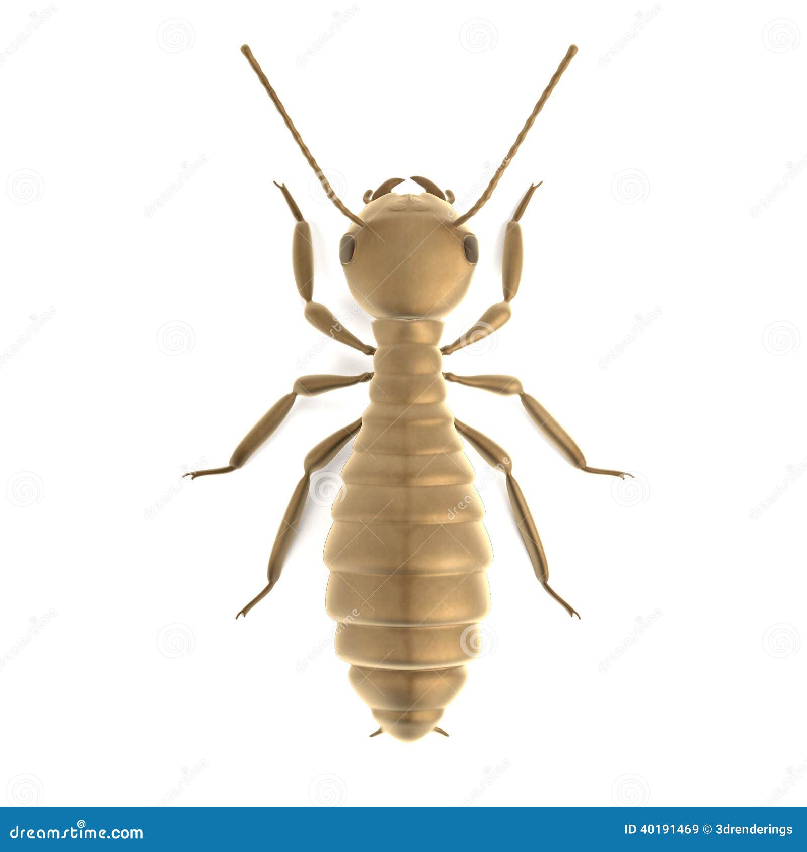 3d Render of Termite Worker Stock Illustration - Illustration of render ...