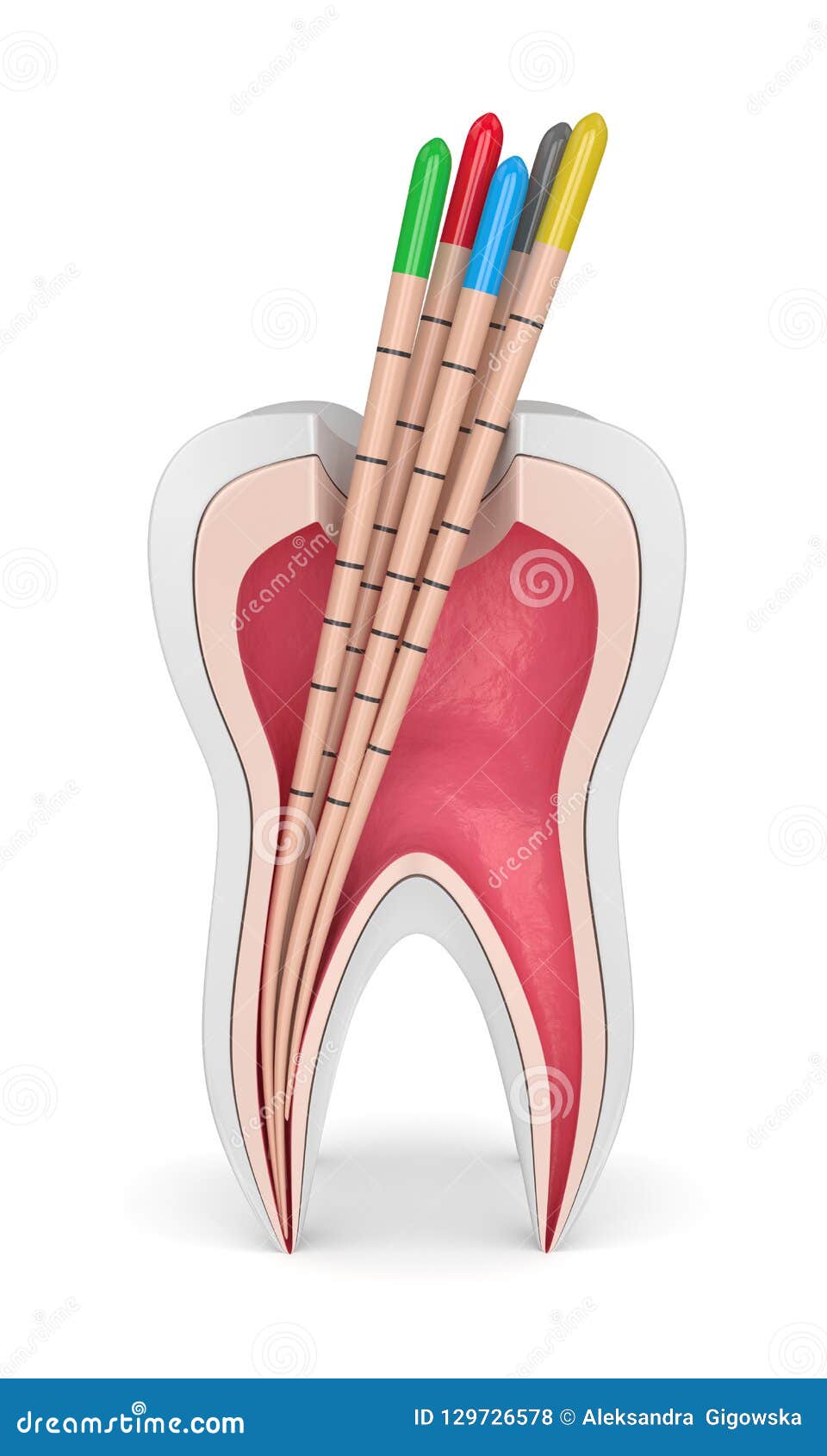 Gutta-percha Isonandra Gutta Or Palaquium Gutta Vintage Engraving ...