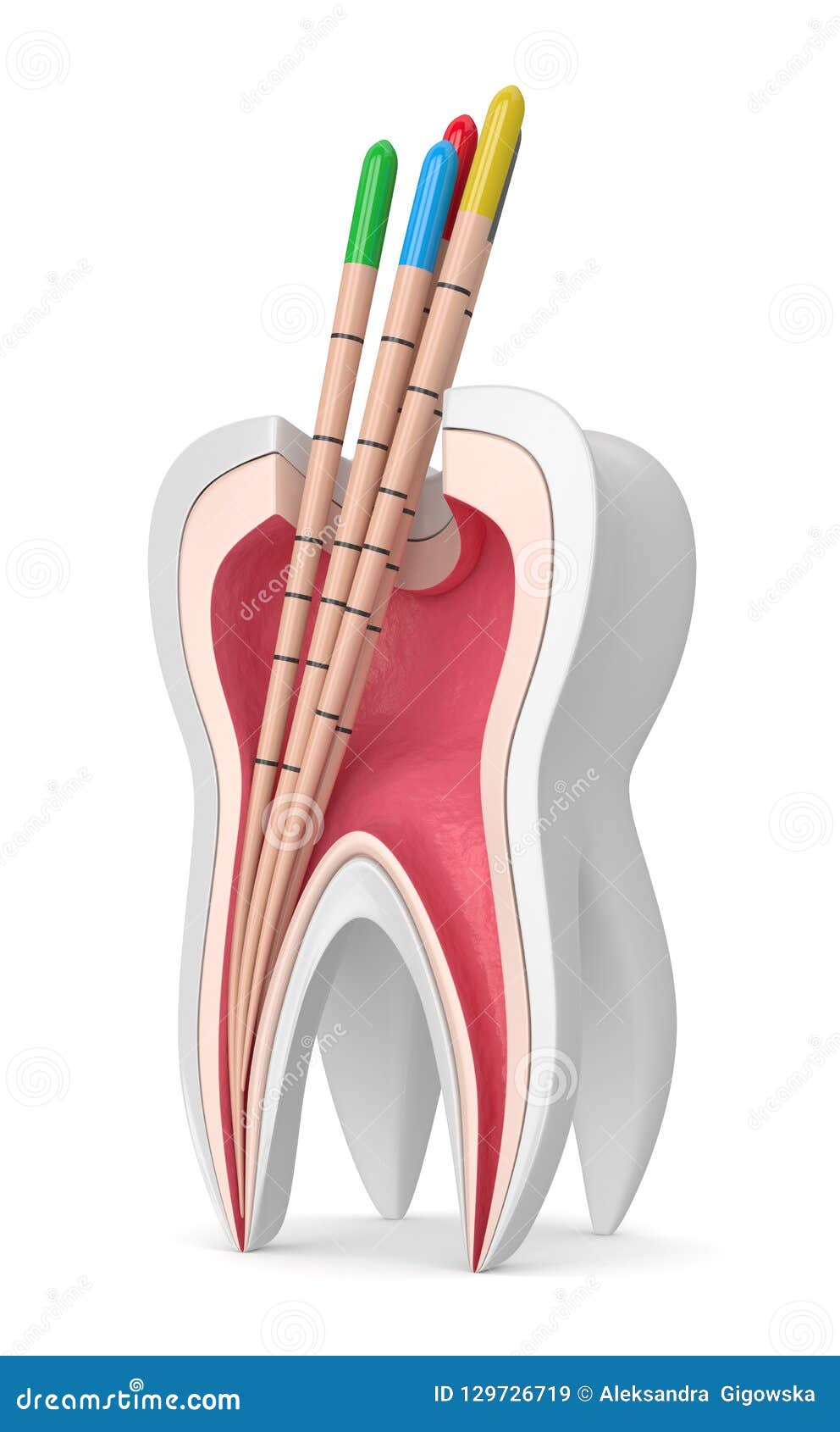 Gutta Percha Pellets Linear Icon. Endodontics Gutta-percha Cones In A ...