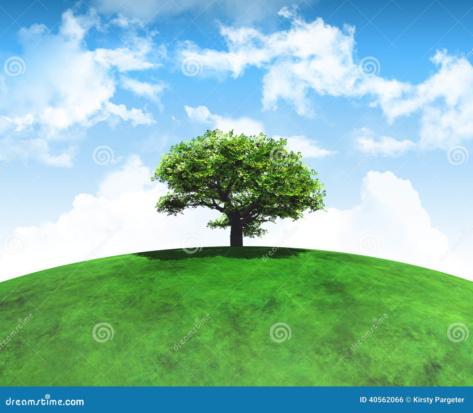 Tree With A Curved Crown Vector Illustration | CartoonDealer.com #83483060