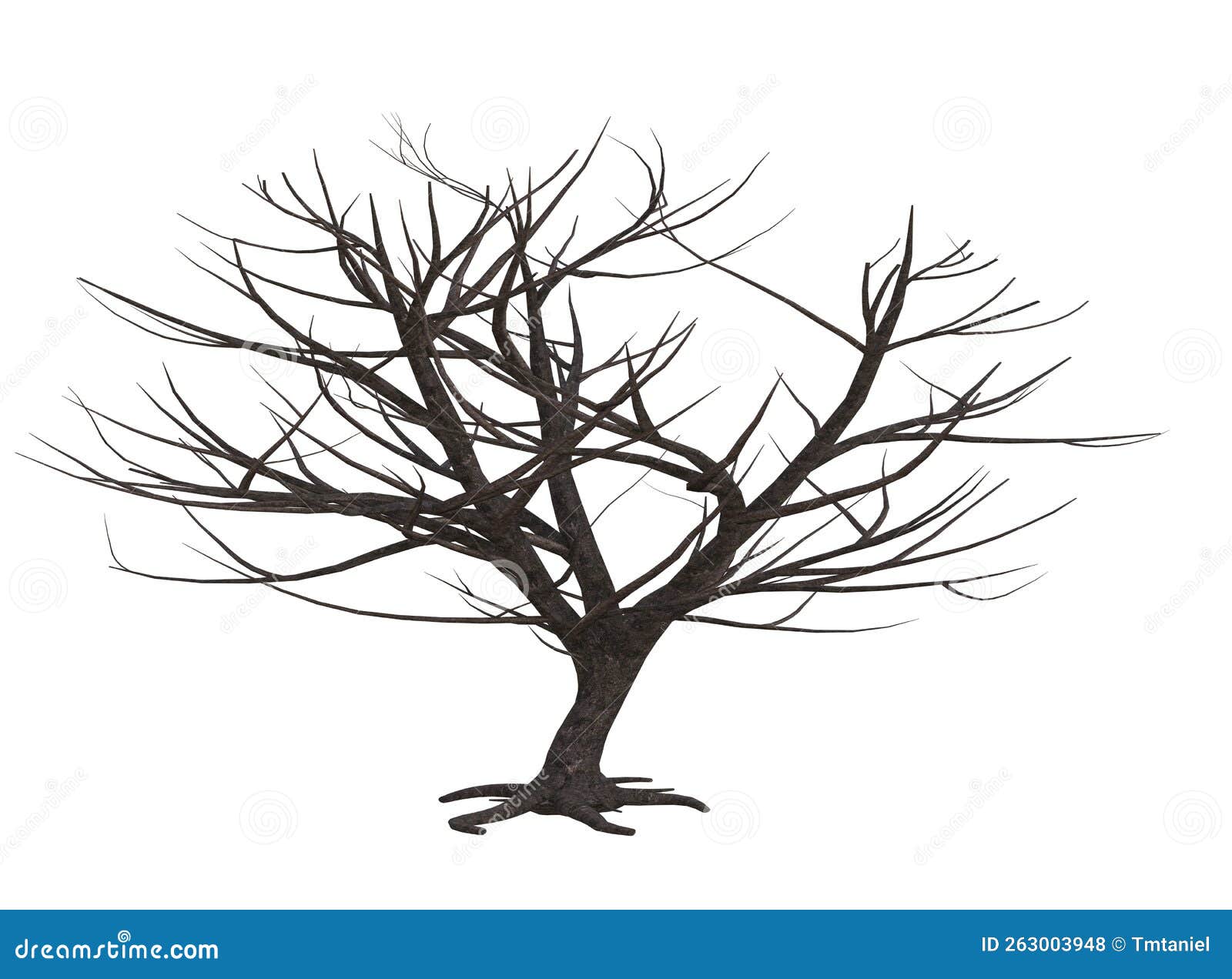 3d Render : Tree Trunk without Leaves,include Clipping Path, PNG ...