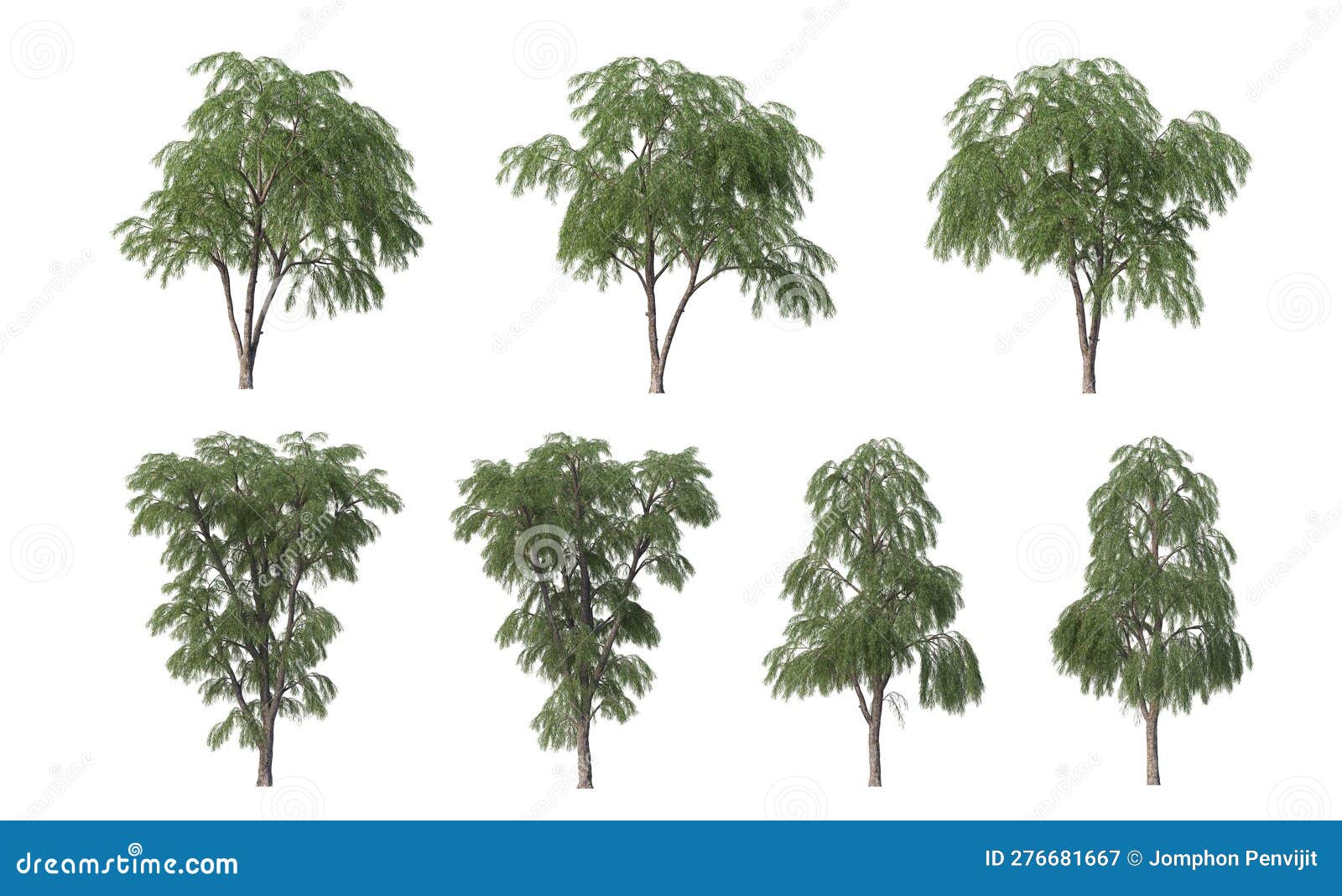 Tree on a white background stock illustration. Illustration of plant ...