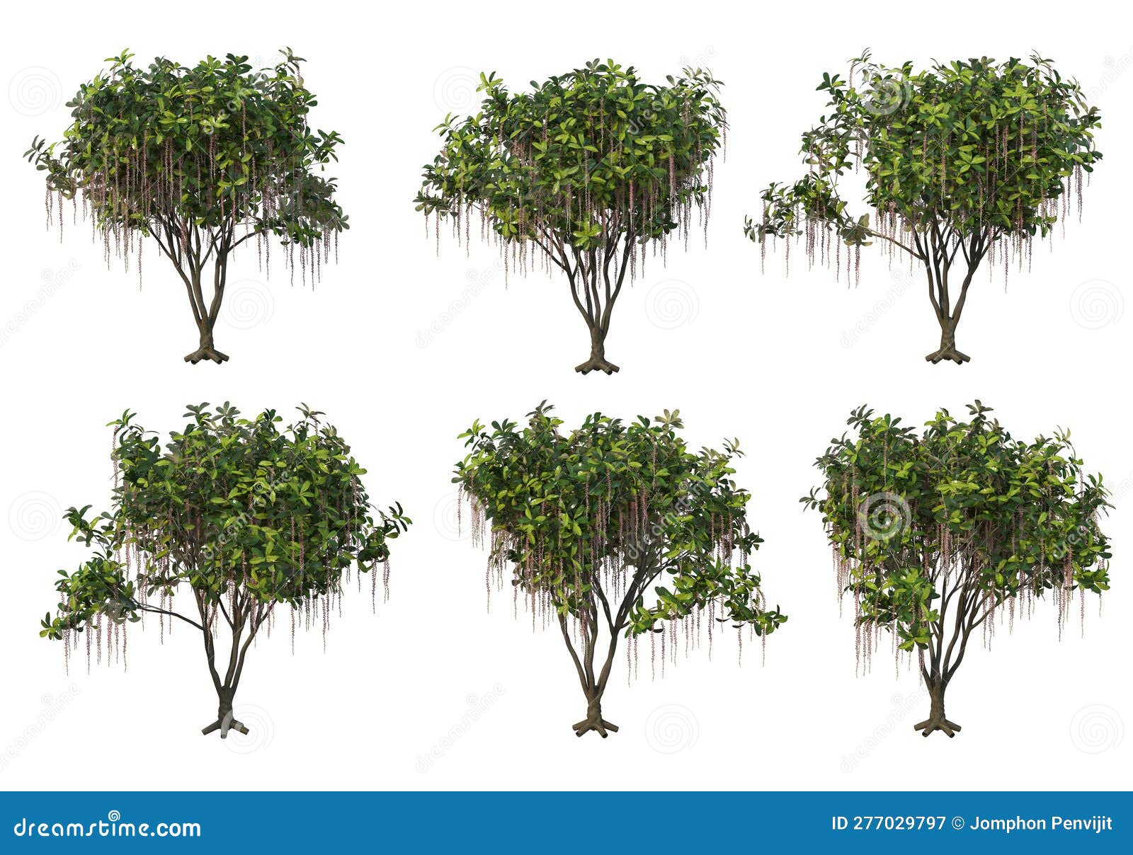 Tree on a white background stock illustration. Illustration of soil ...