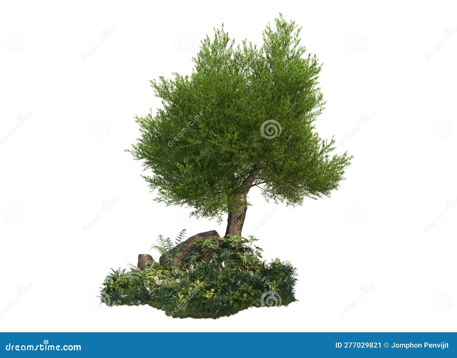 Tree on a white background stock illustration. Illustration of leaf ...