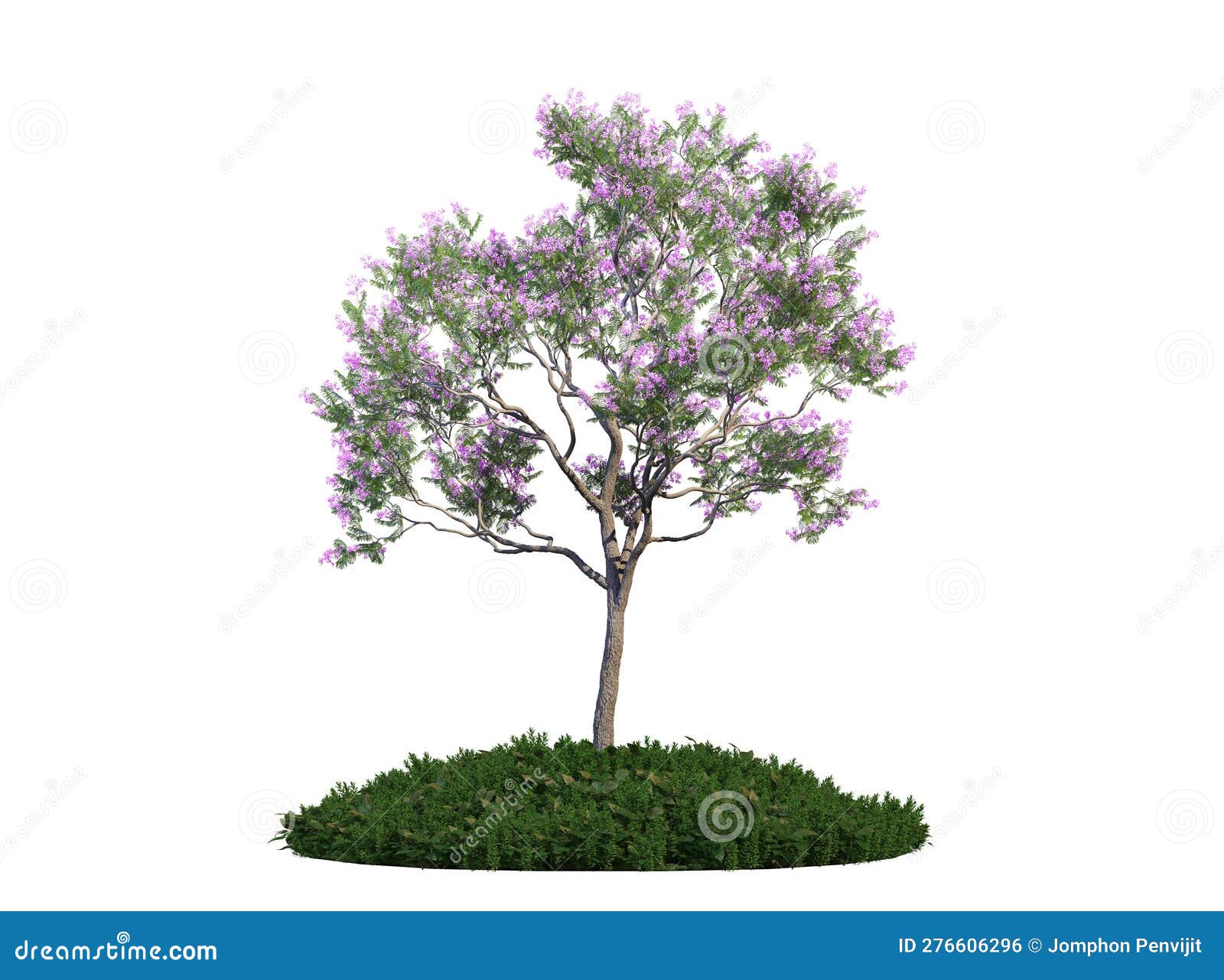 Trees with Flowers on a White Background Stock Illustration ...