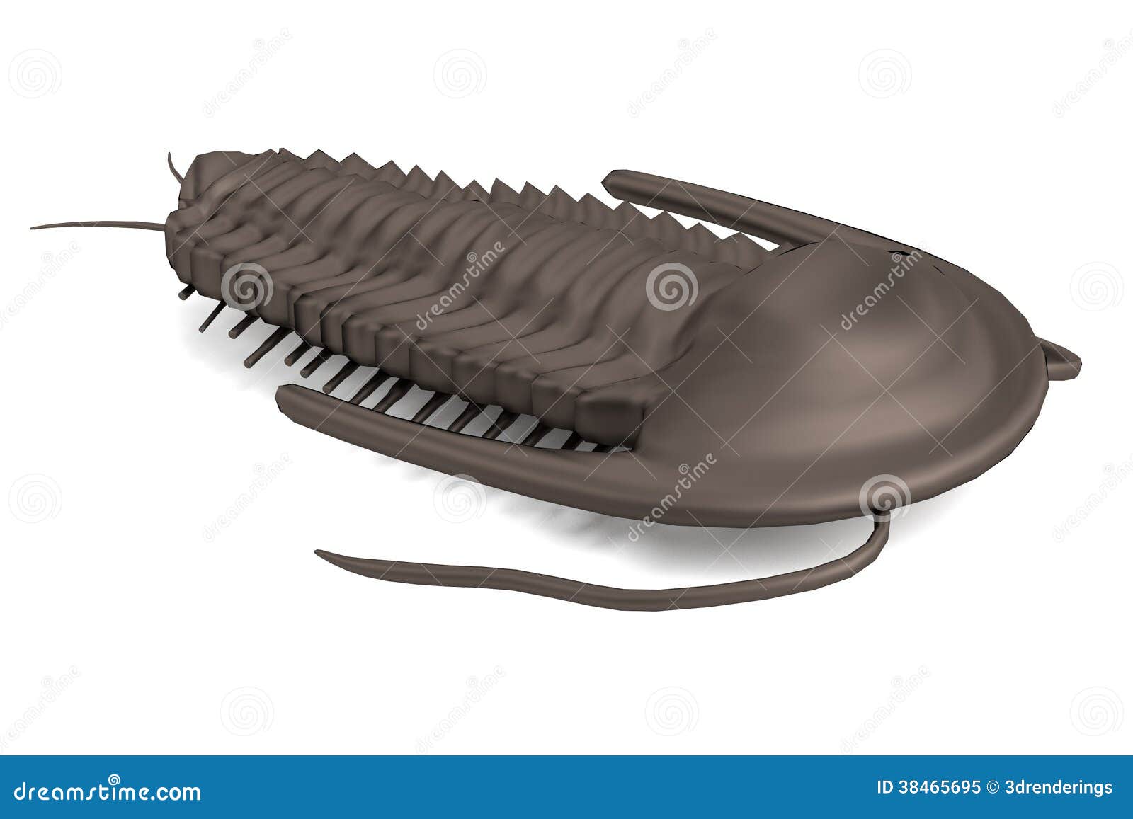3d render of trilobite stock illustration. Illustration of trilobite ...