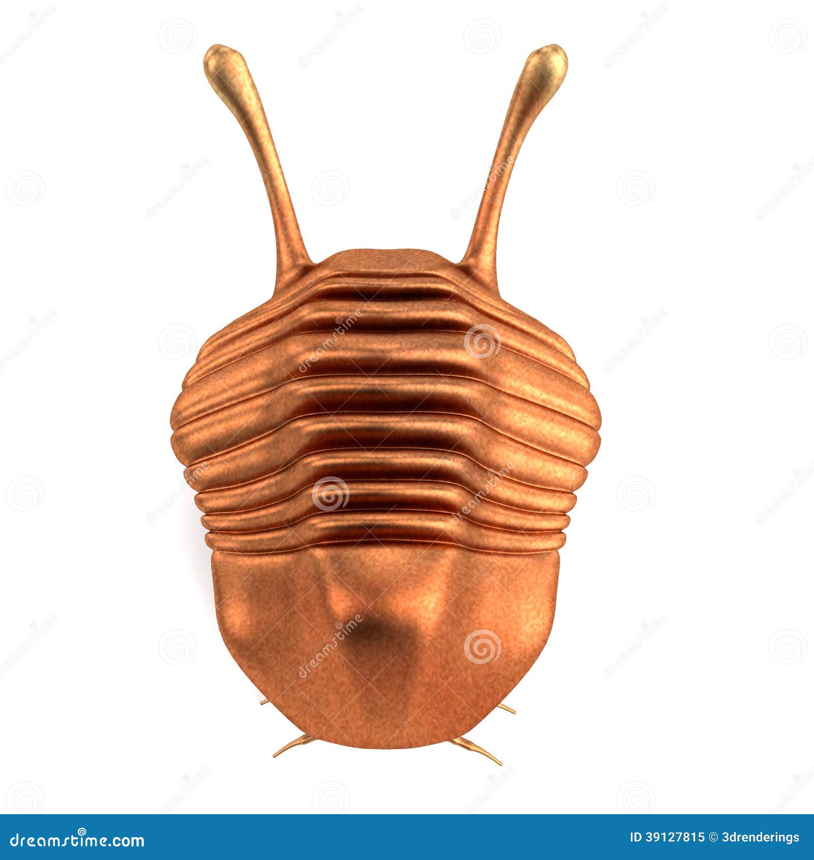 3d render of trilobite stock illustration. Illustration of stone - 39127815