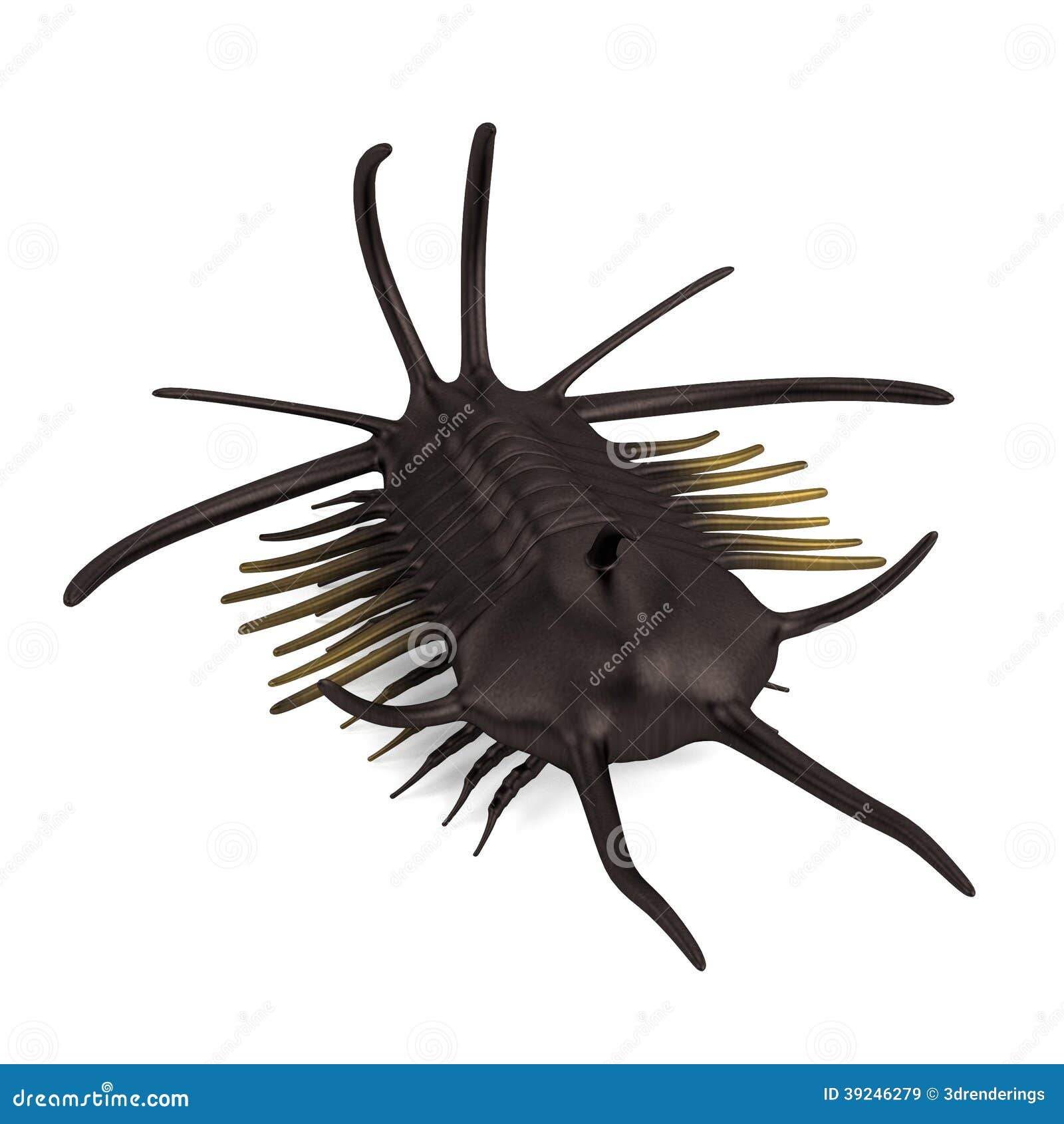 3d render of trilobite stock illustration. Illustration of stone - 39246279