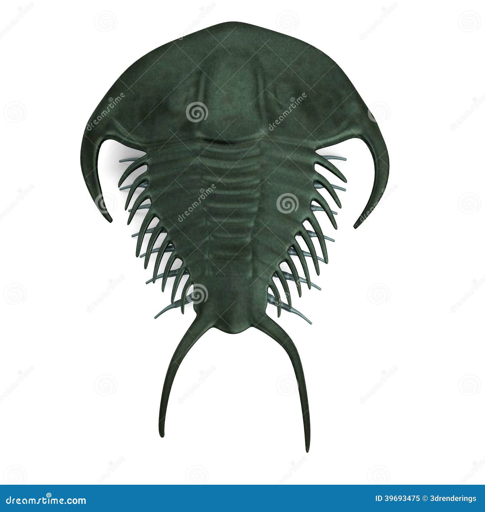 3d render of trilobite stock illustration. Illustration of model - 39693475