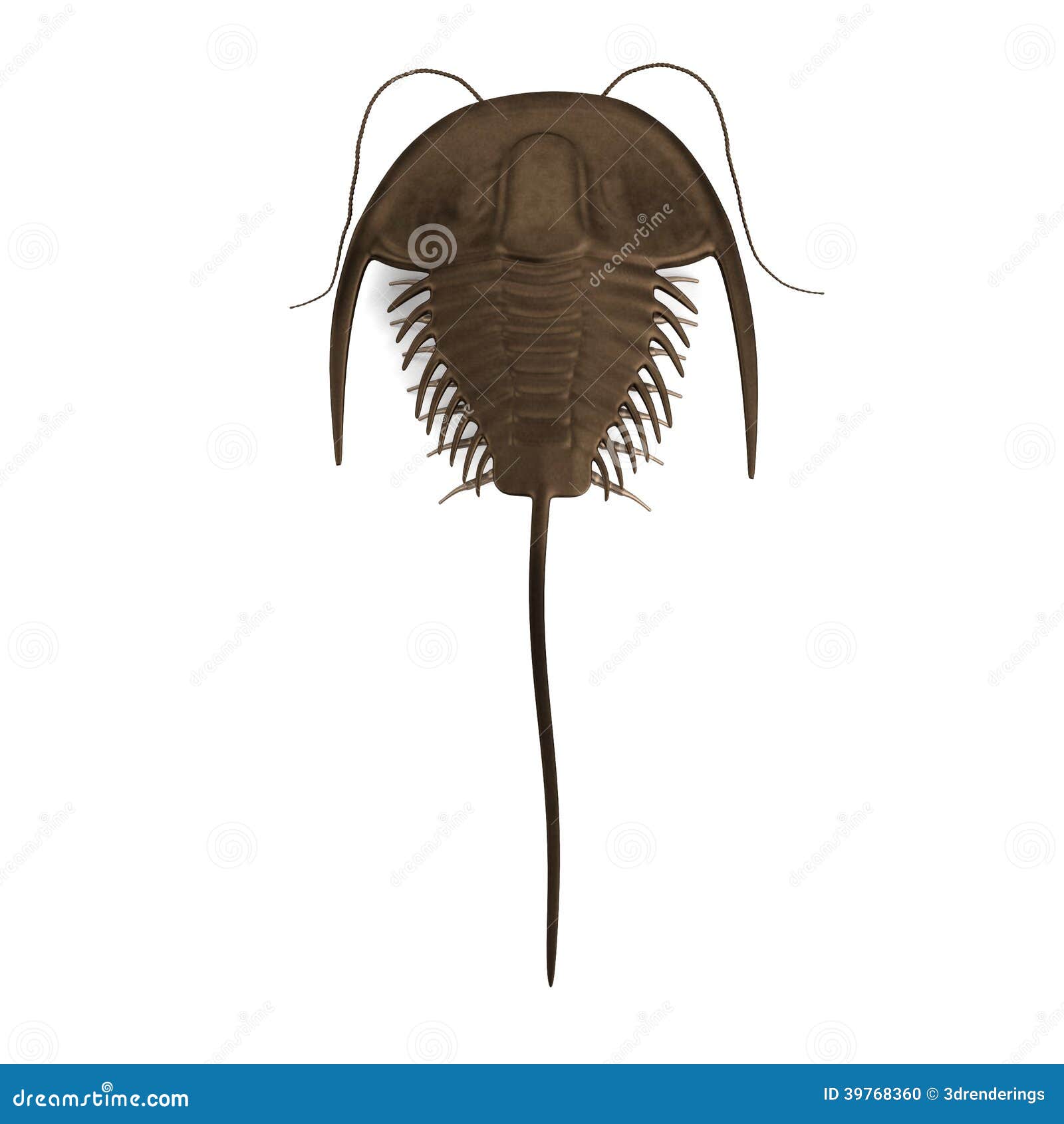 3d render of trilobite stock illustration. Illustration of stone - 39768360