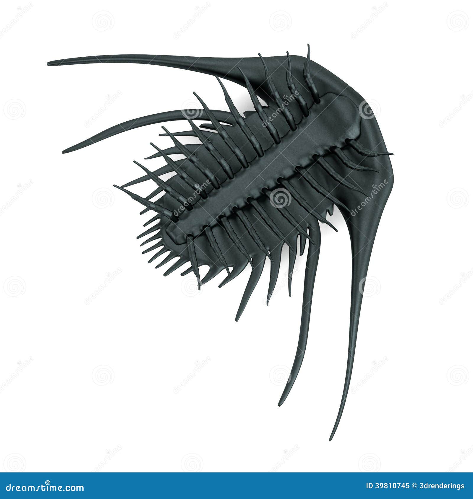 3d render of trilobite stock illustration. Illustration of graphics ...