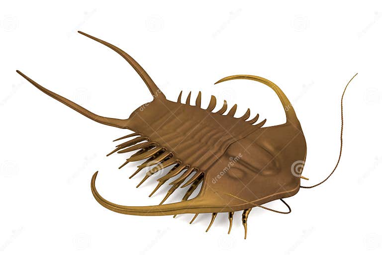 3d render of trilobite stock illustration. Illustration of trilobite ...