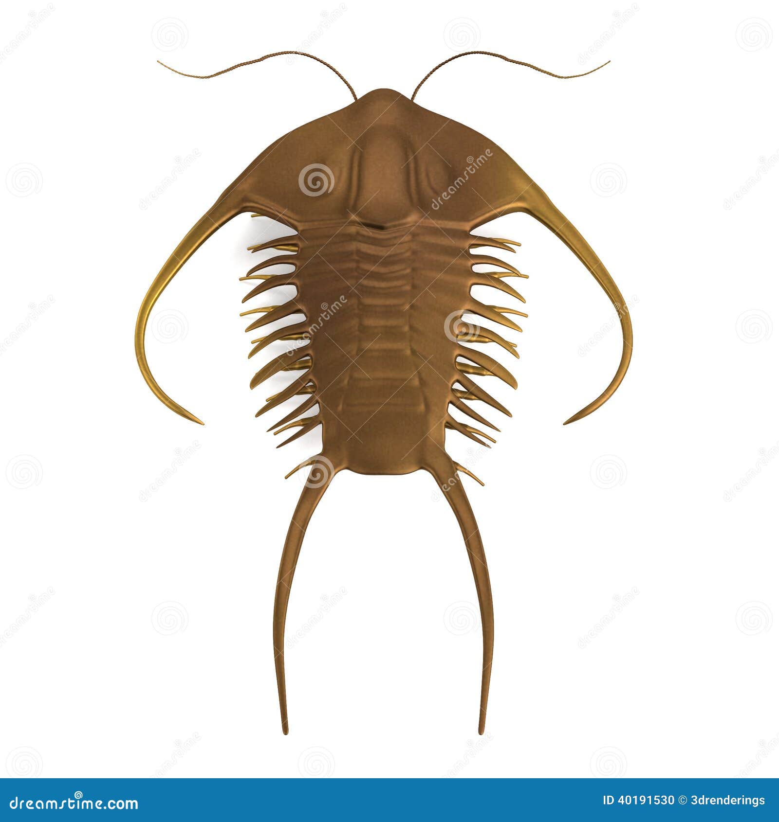 3d render of trilobite stock illustration. Illustration of render ...