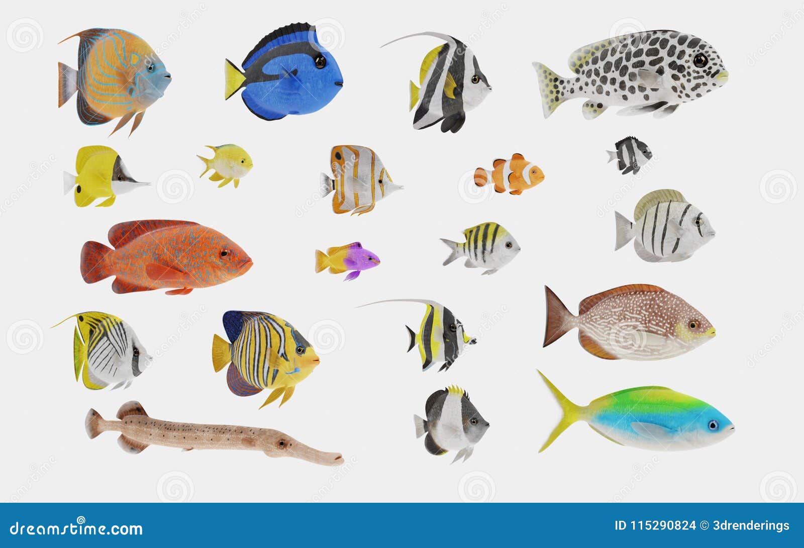 3D Render of Tropical Fish Collection Stock Illustration - Illustration ...