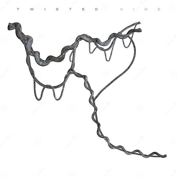 3D Render of Twisted Vines on White Background Stock Illustration ...